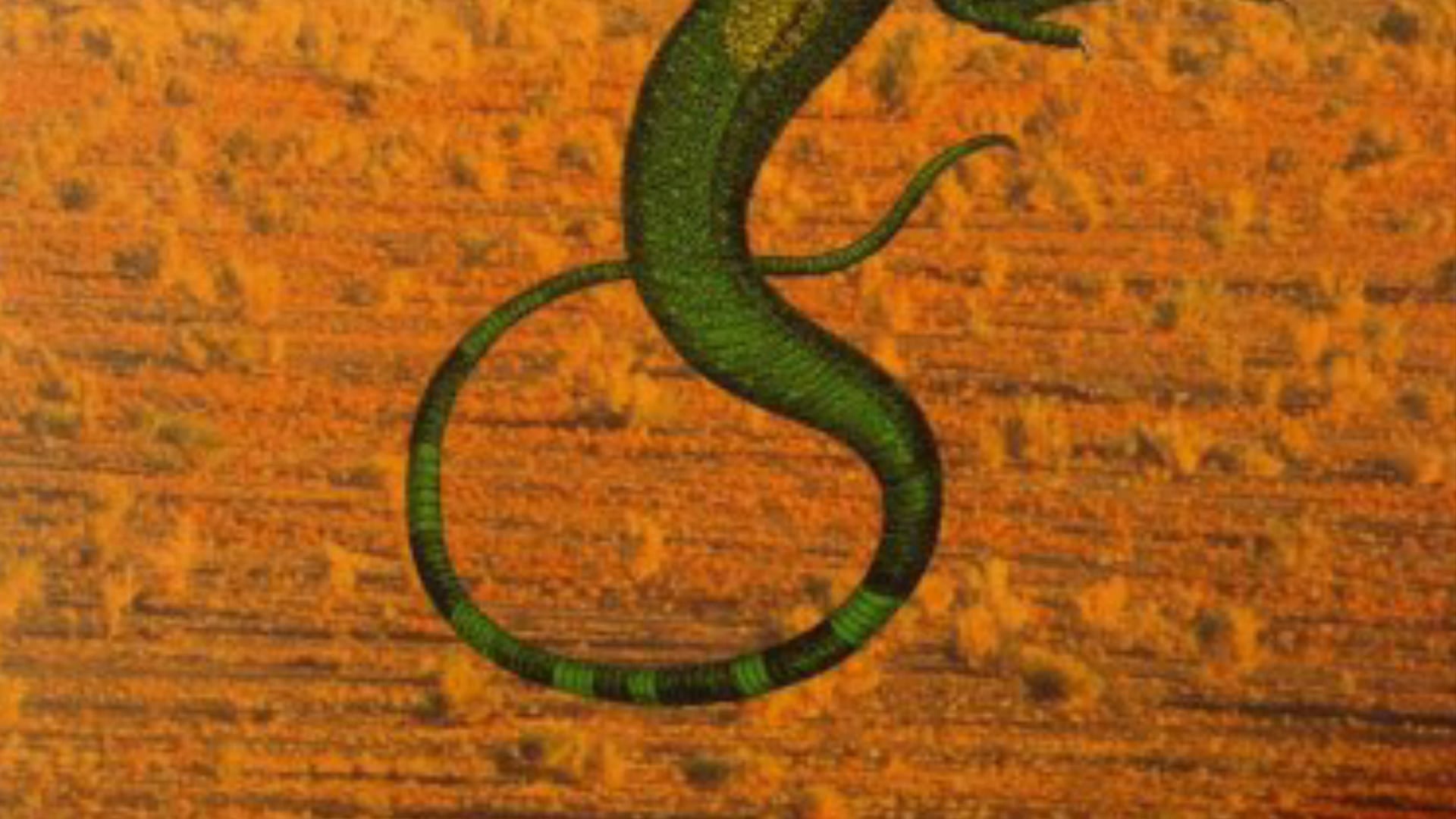 Holes Chapter 36 on Vimeo