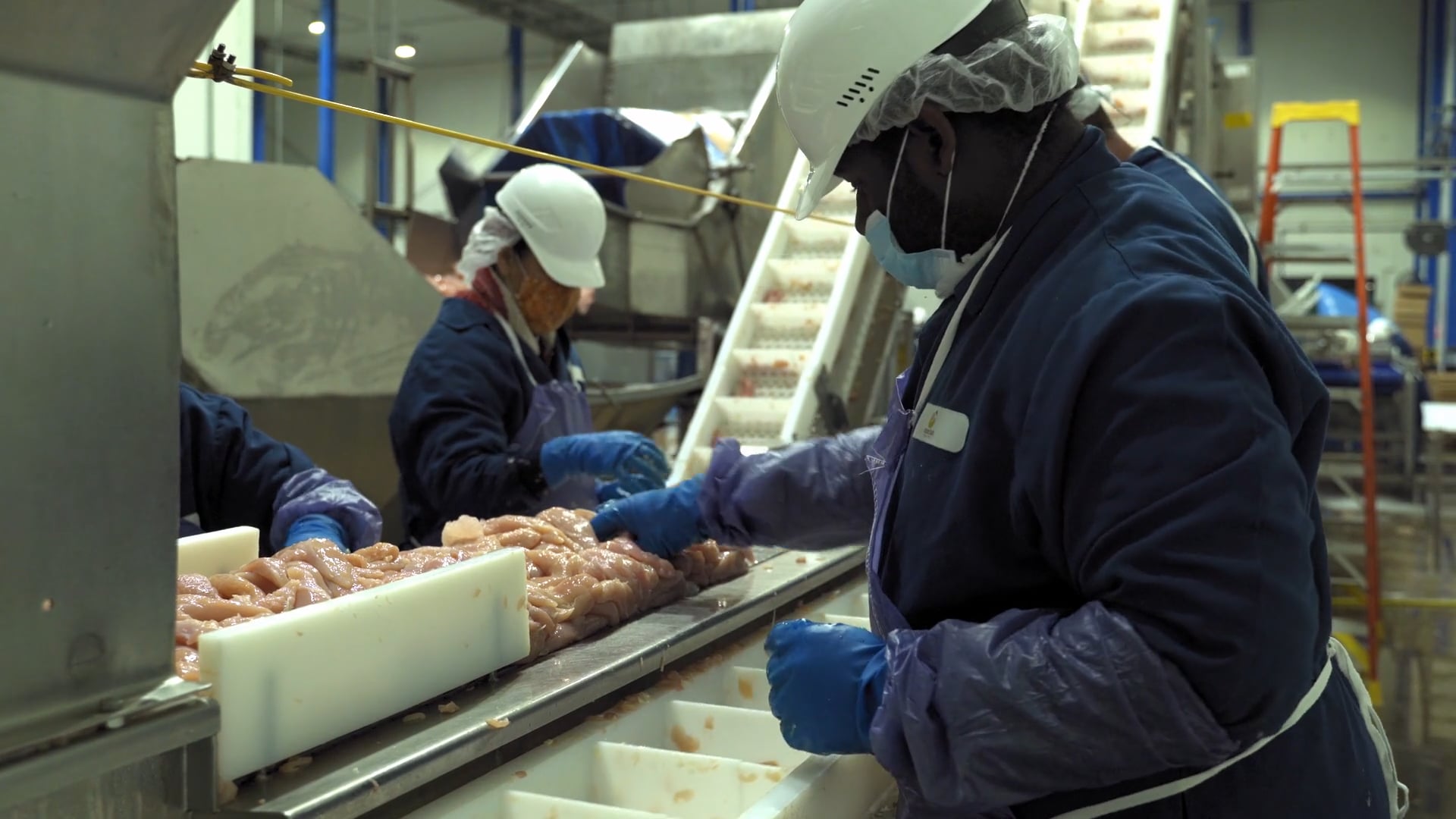 Custom Craft Poultry - Capabilities on Vimeo
