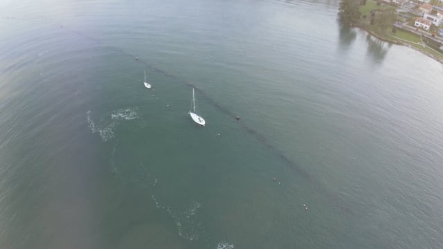 Barco, Ria, Rio. Free Stock Video - Pixabay