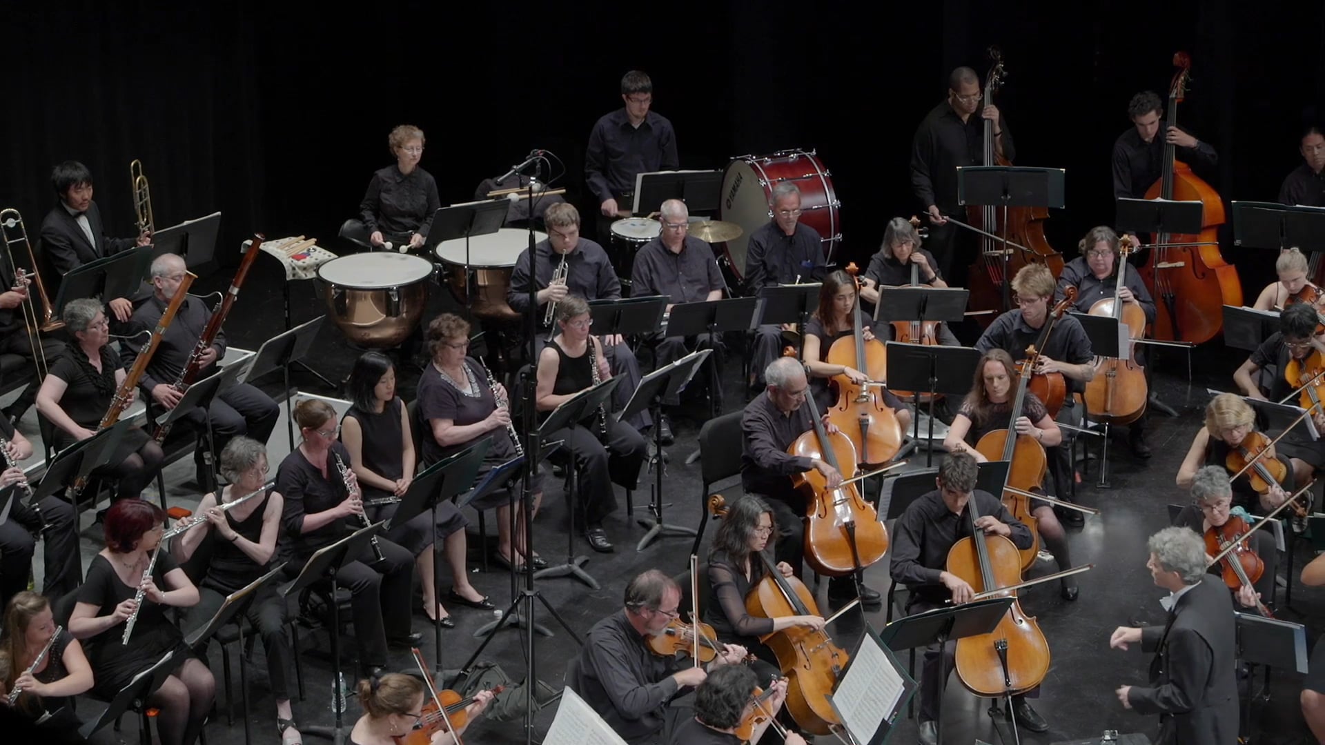Watch Orchestrating Change Online | Vimeo On Demand on Vimeo