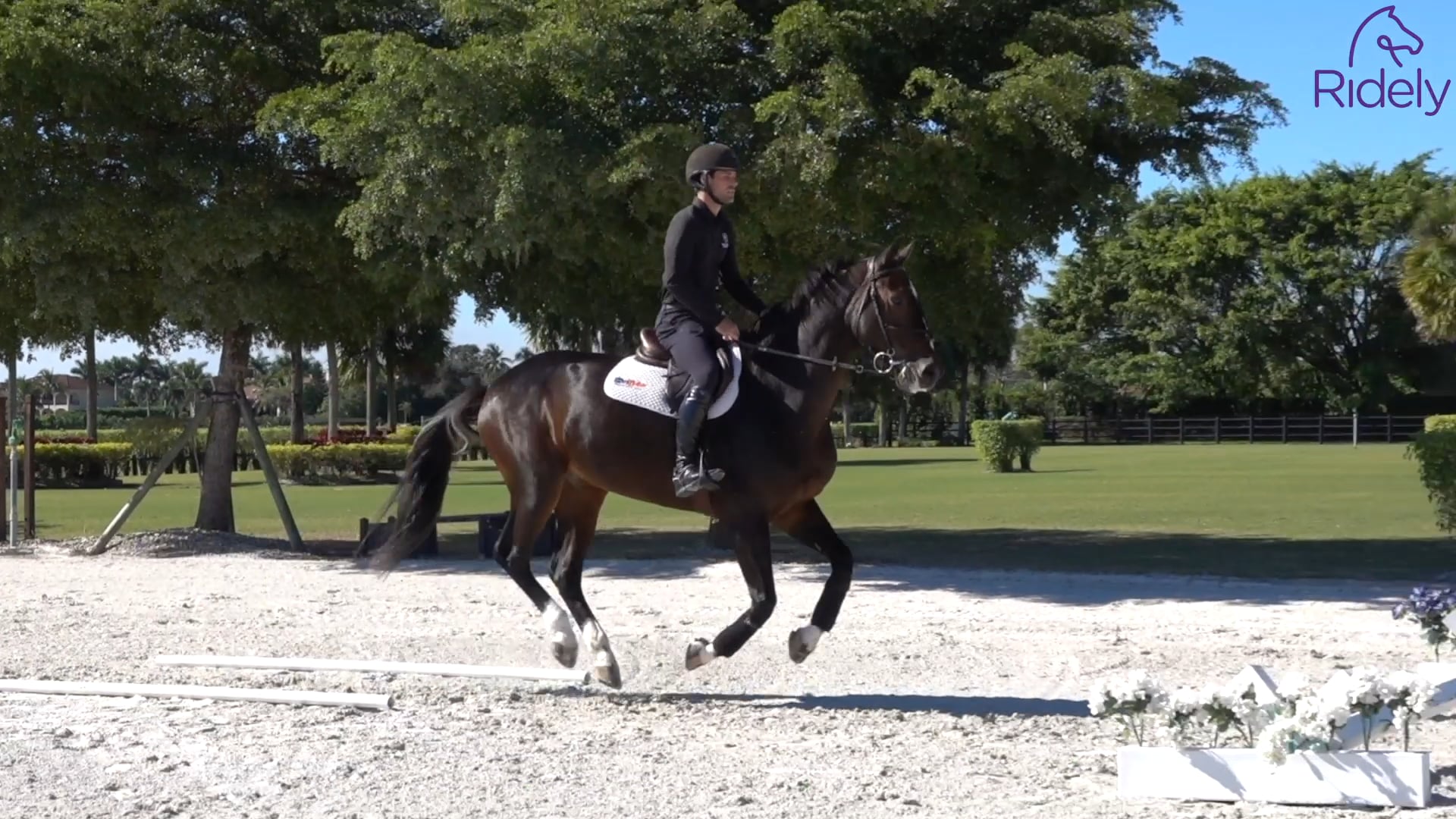 Pace, Track, Distance: Part 2 | Ridely