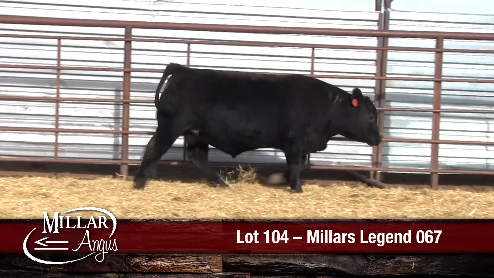 Millar Angus - Lot 104 on Vimeo