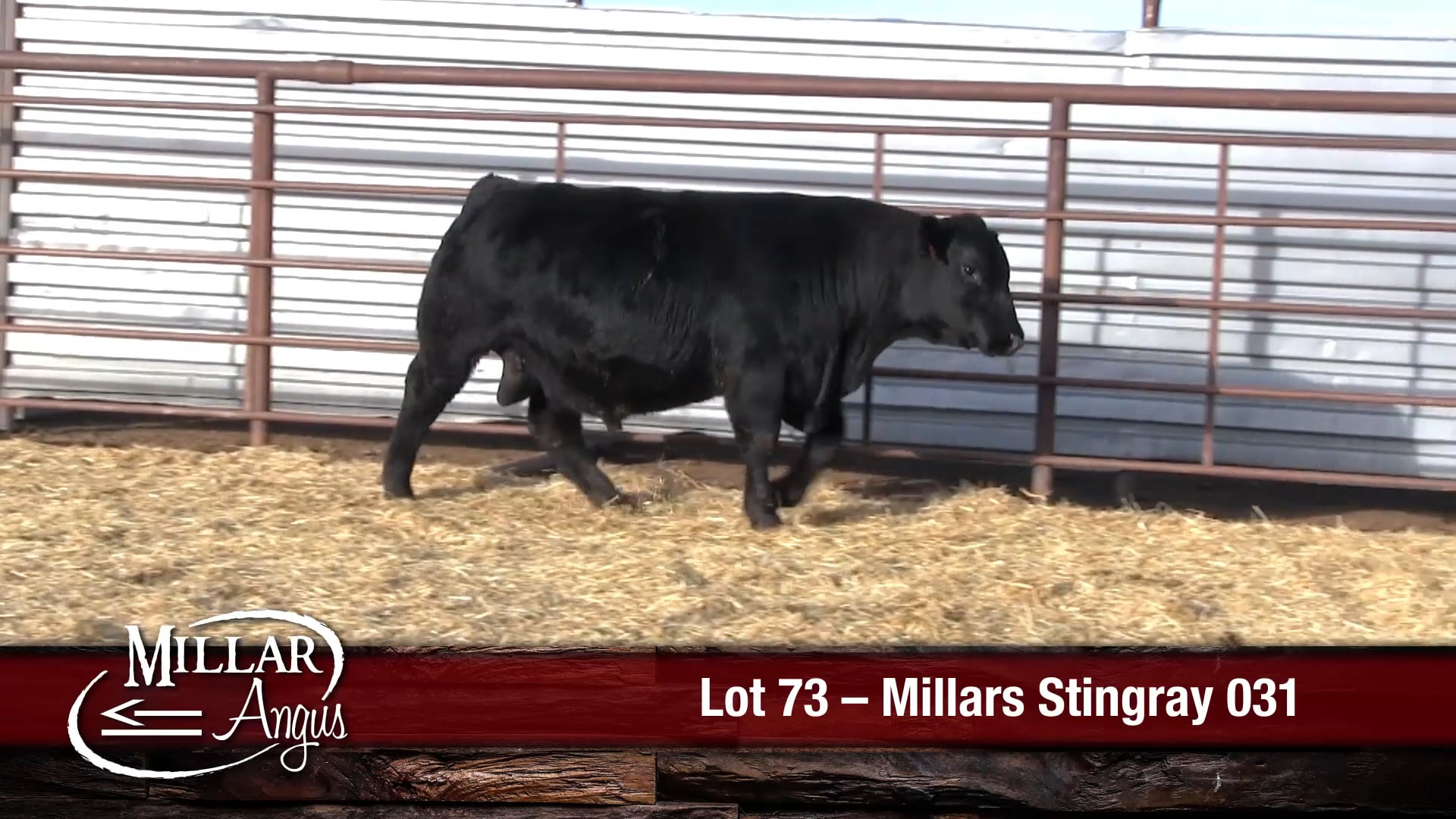 Millar Angus - Lot 73 on Vimeo