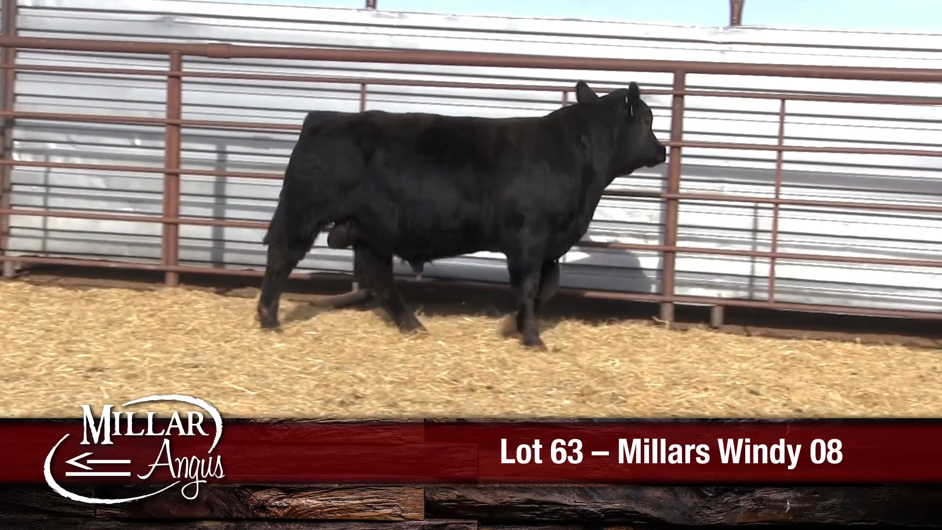 Millar Angus - Lot 63 on Vimeo