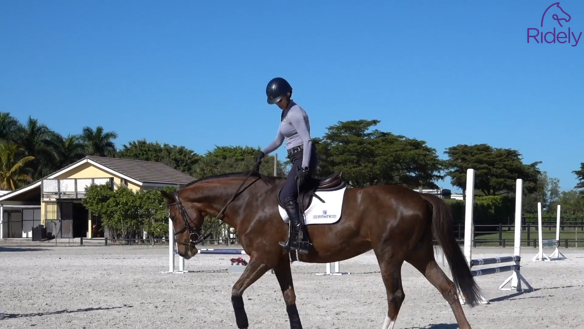 Position with a Purpose | Ridely