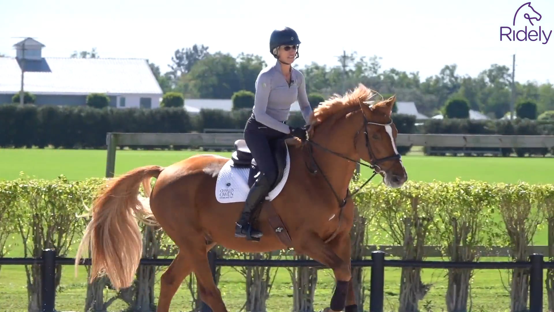 Pace, Track, Distance: Part 1 | Ridely