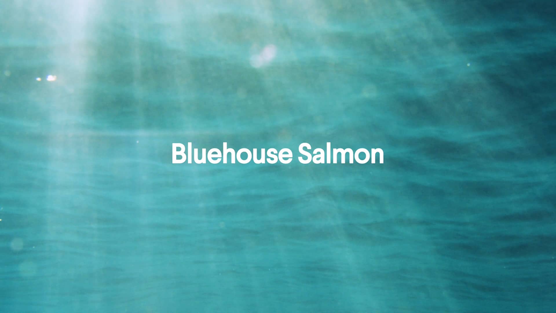 Bluehouse Salmon on Vimeo