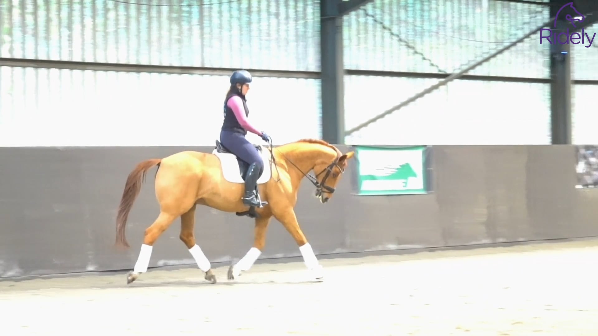 Assessing a new ride: Part two | Ridely