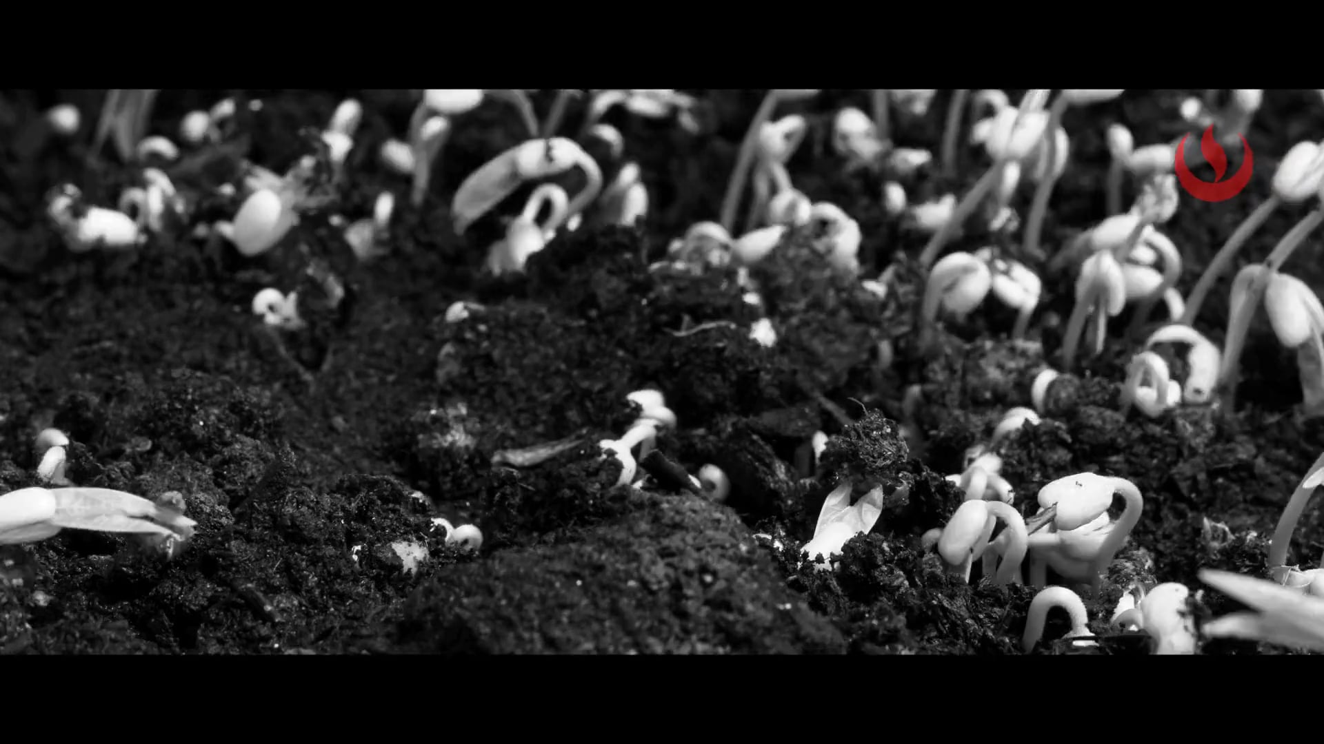 UPC VIRGILIO on Vimeo