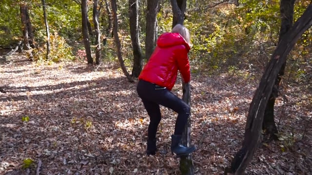 Young Woman, Forest, Humor. Free Stock Video - Pixabay