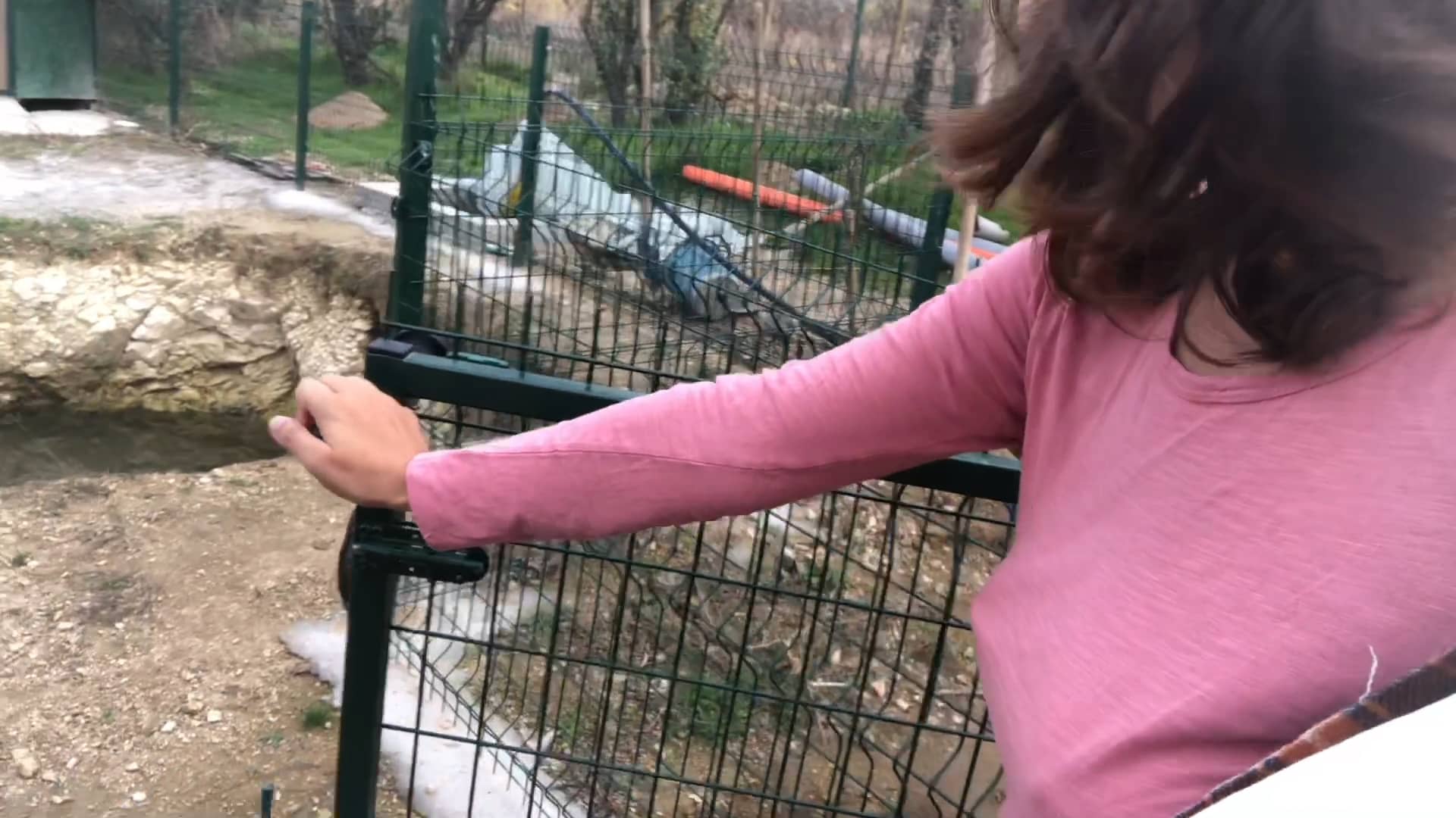 Tsetsi shows her Puppies on Vimeo