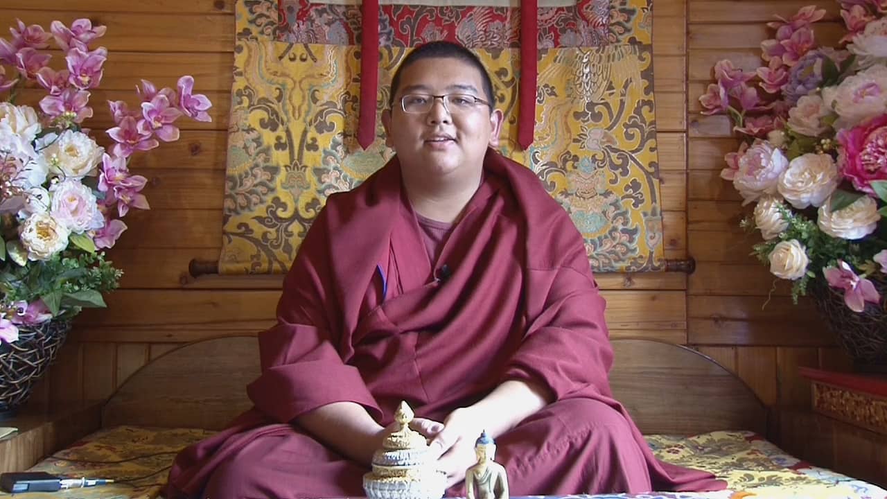 Interview with the 4th Jamgon Kongtrul Rinpoche (The relationship with ...