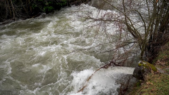 Humidity Videos: Download 17+ Free 4K & HD Stock Footage Clips - Pixabay