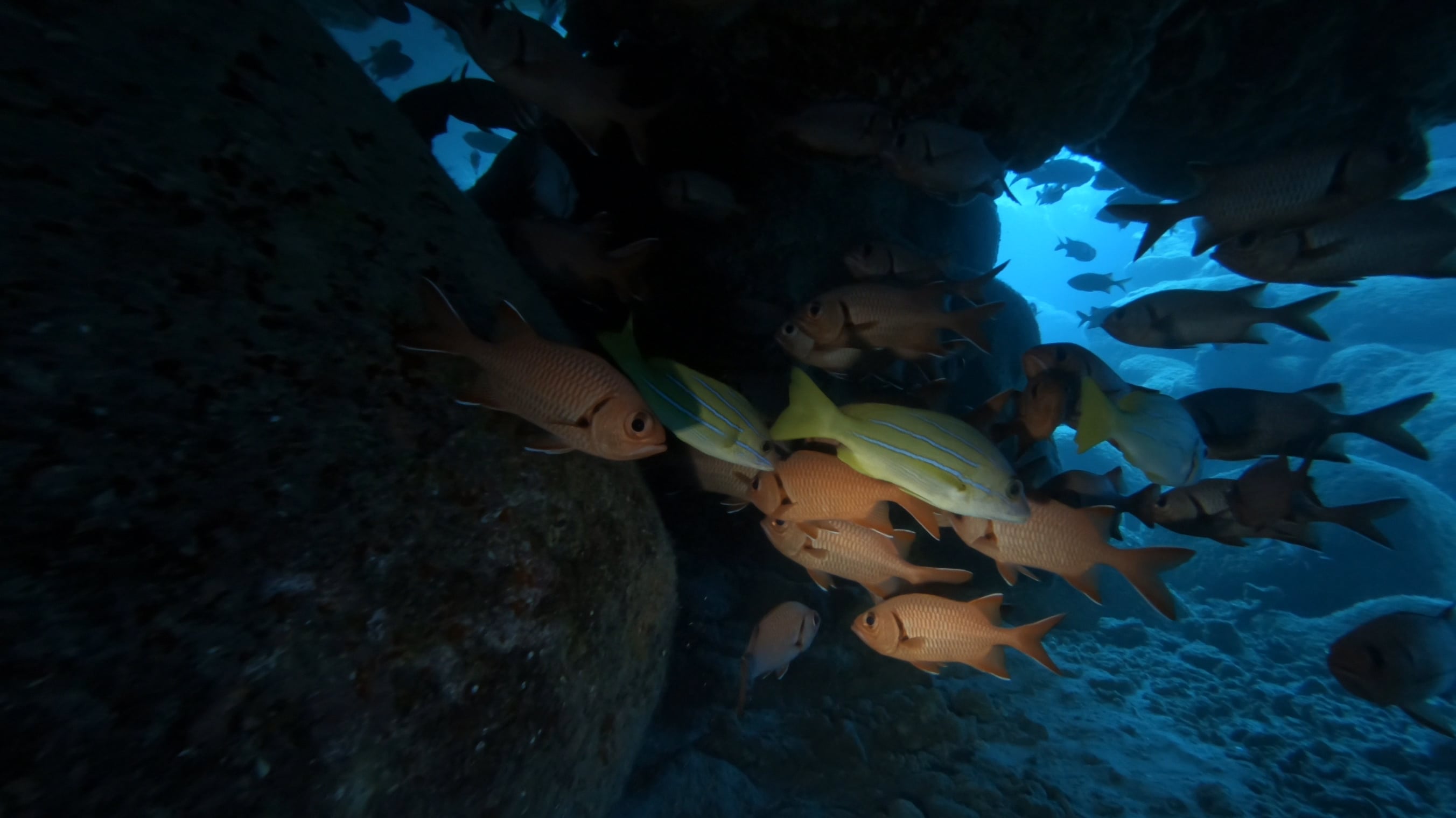 Sheraton Caverns on Vimeo