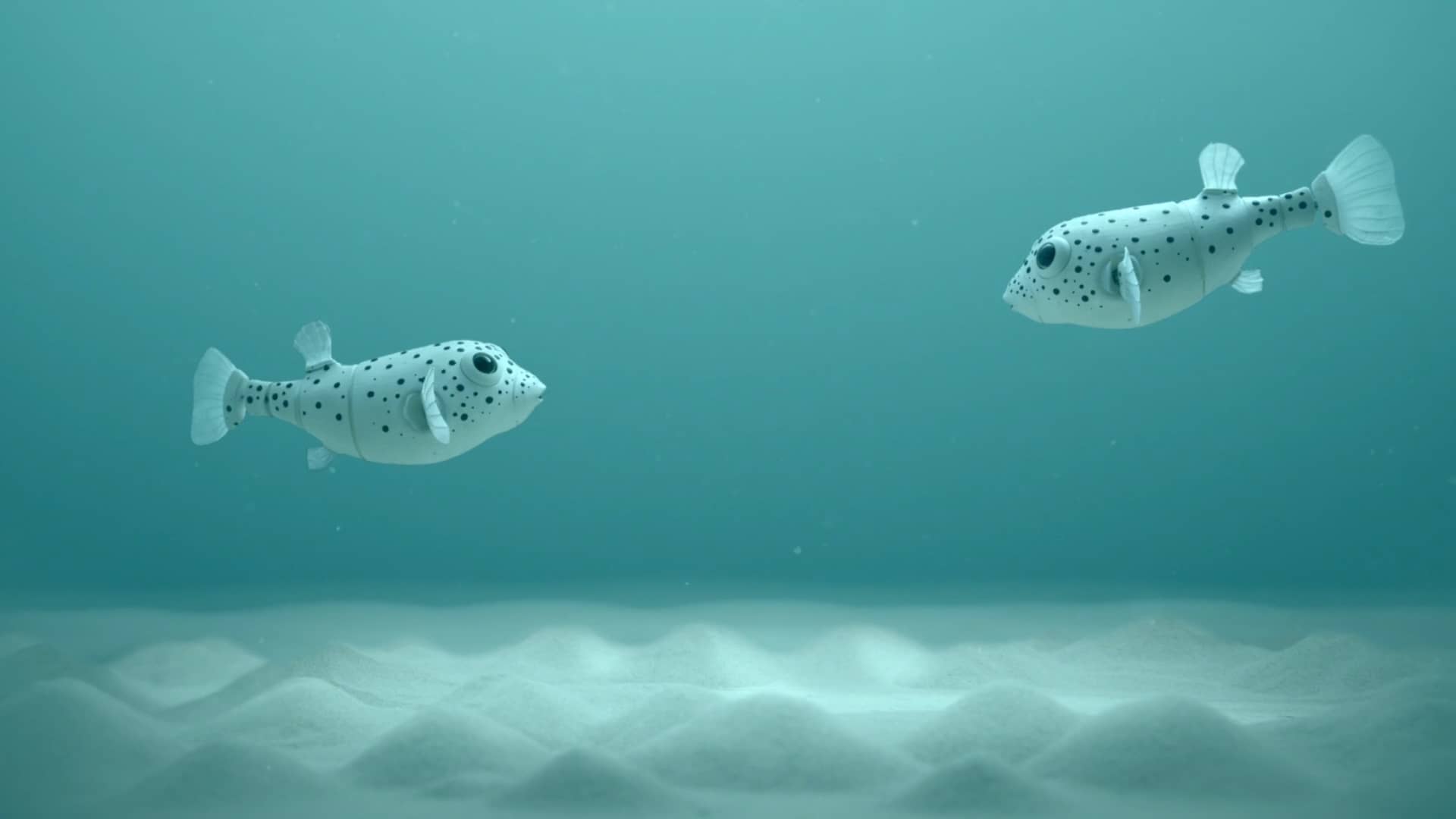 Skills - Ep.01 - Puffer Fish on Vimeo