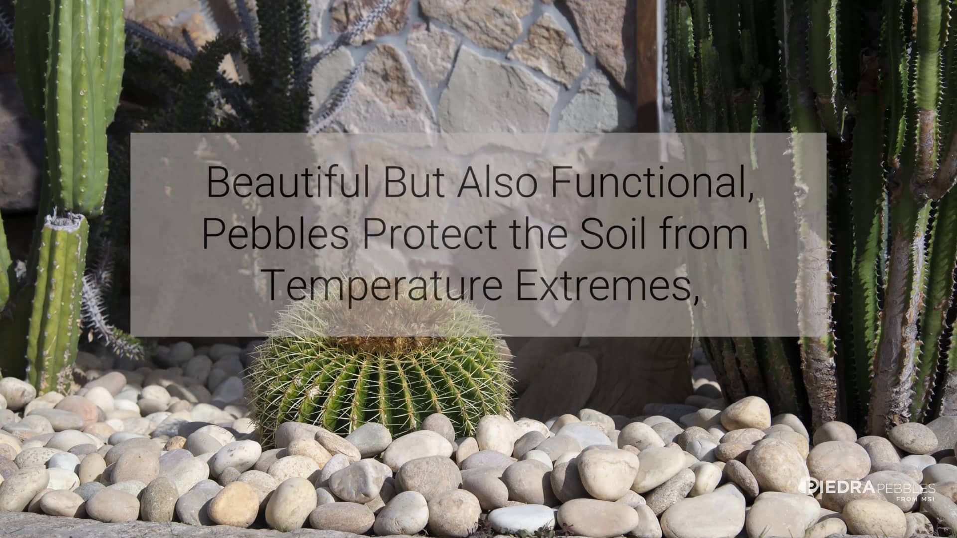 Piedra Pebbles from MSI on Vimeo