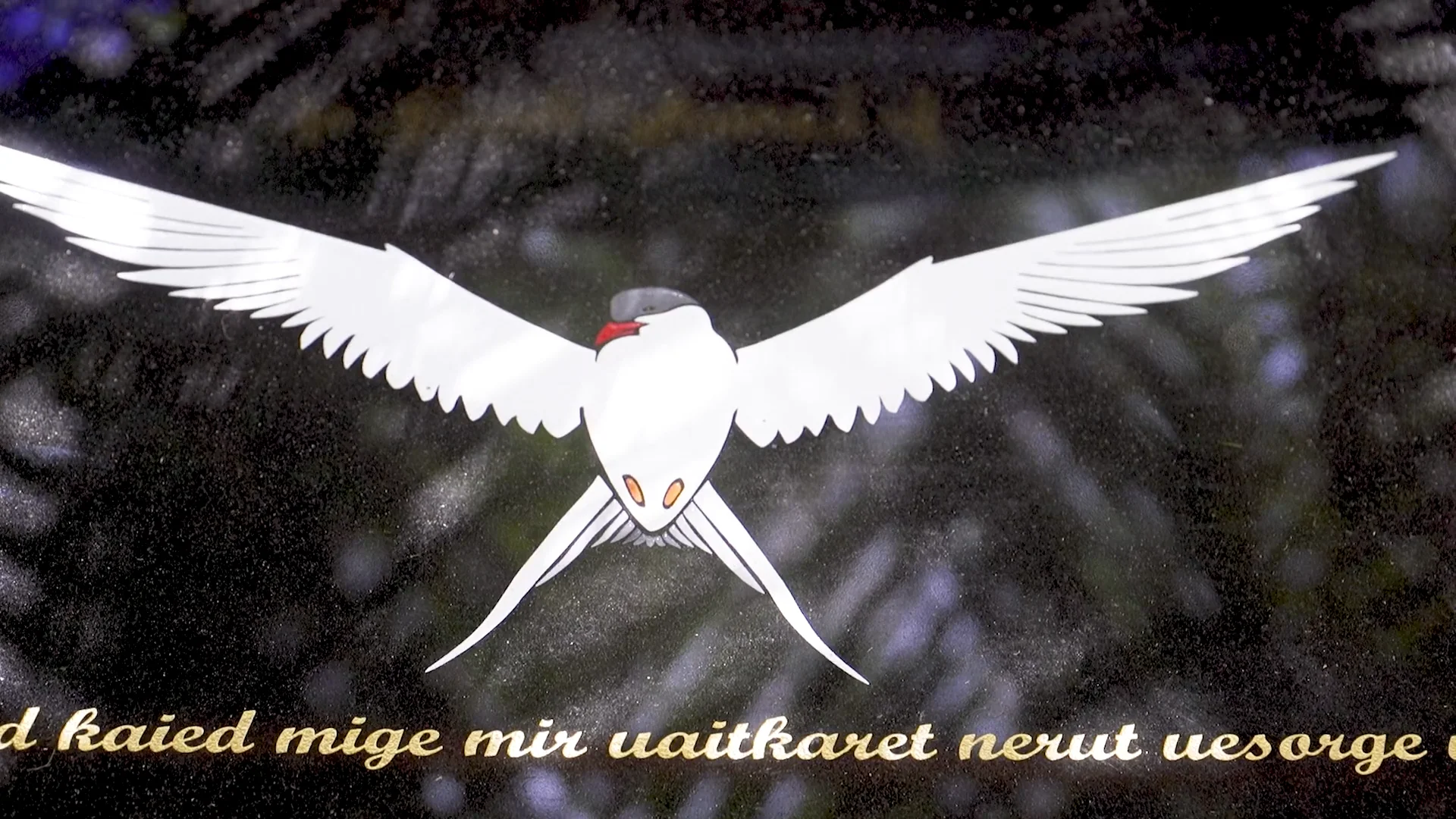 George Mye Tombstone Opening - Erub, Torres Strait.