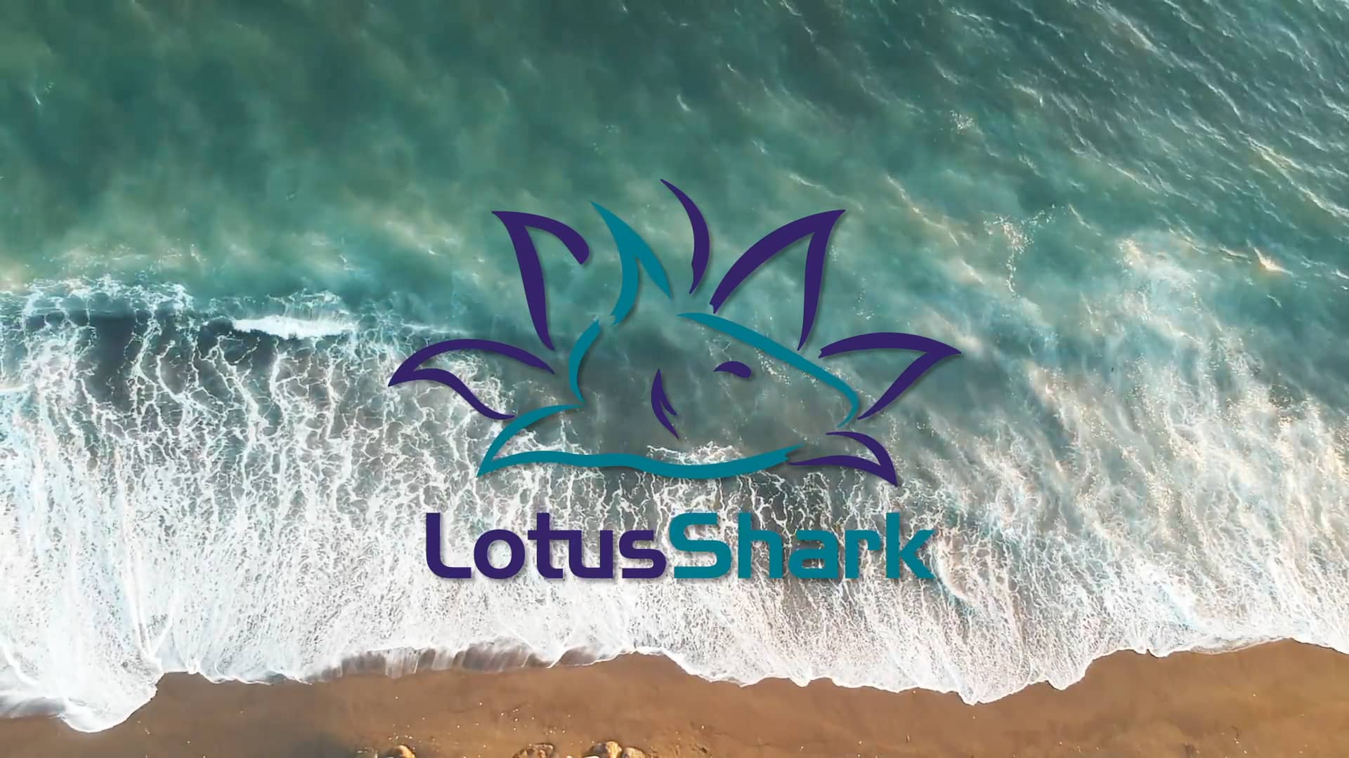 Lotus Shark Website Placeholder - New2 on Vimeo