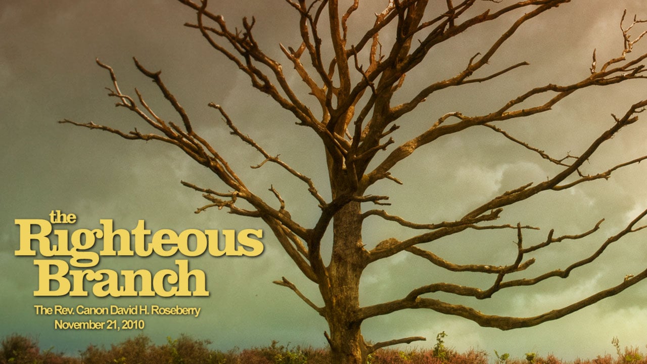 The Righteous Branch on Vimeo