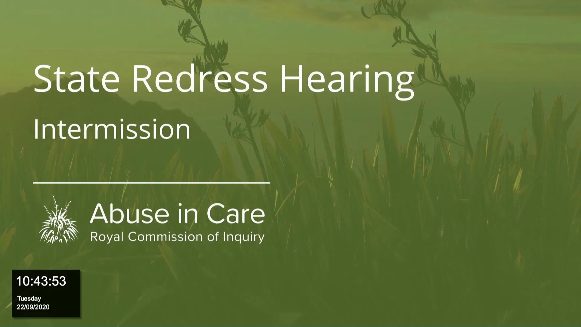 Statement of Joan Bellingham for State Redress Hearing on Vimeo