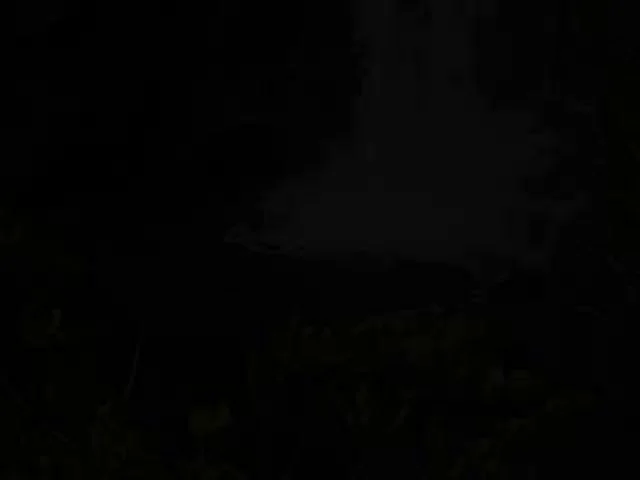 Garrison Finley on Vimeo