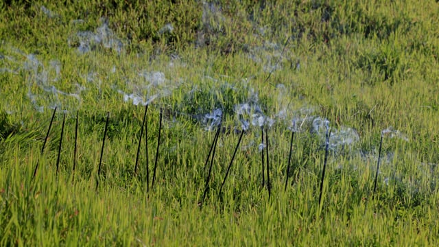 Incense Grass Smoke - Free video on Pixabay