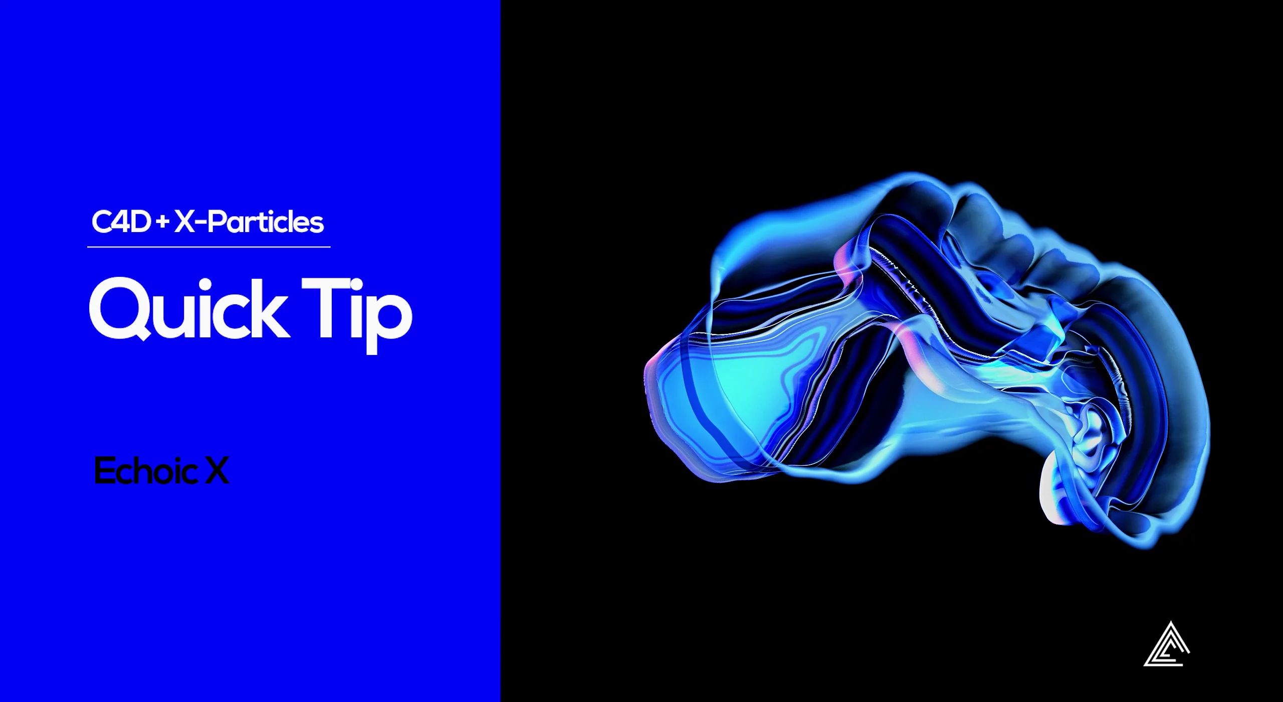 Quick Tip 11 - Echoic X