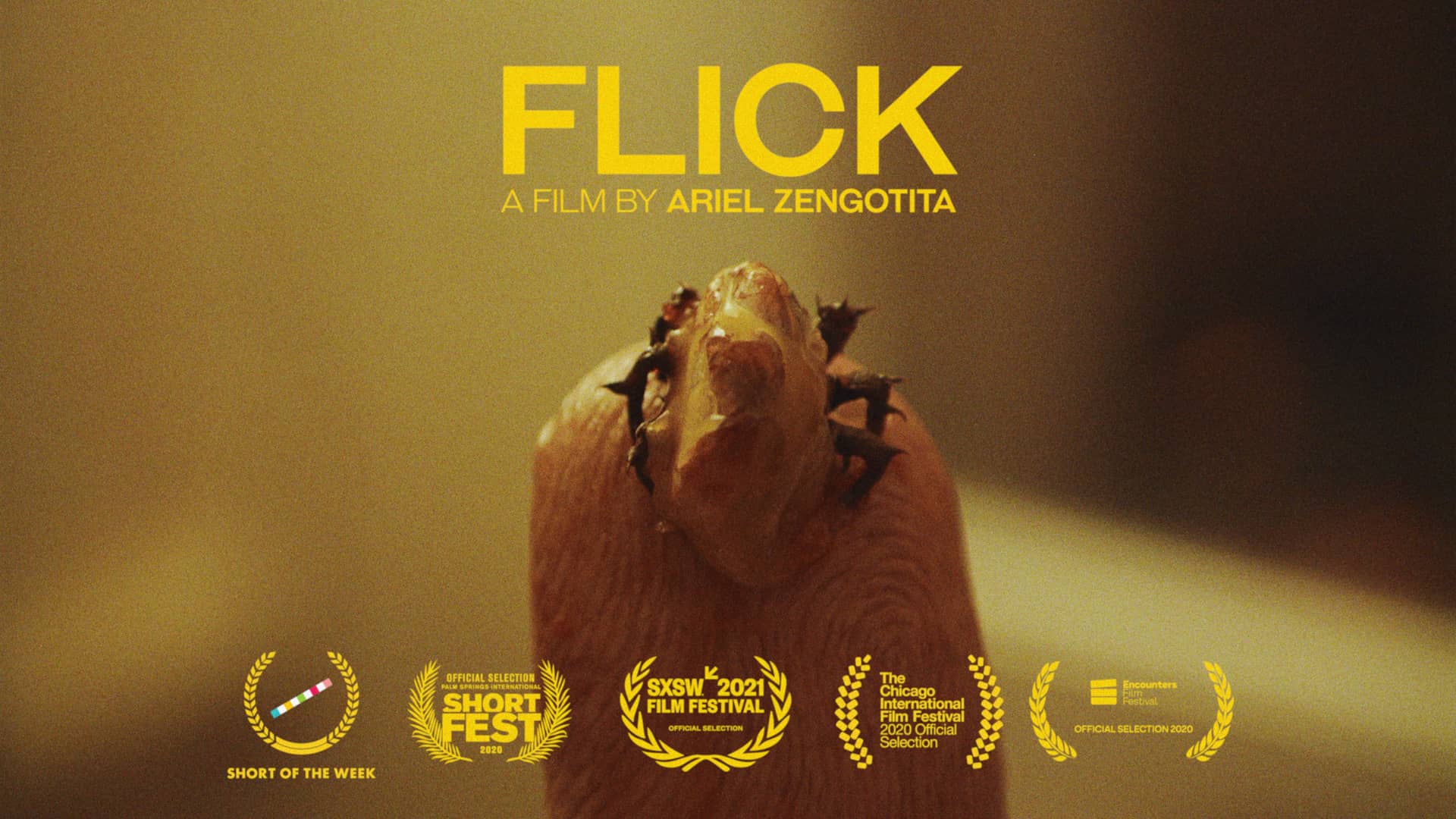 FLICK on Vimeo