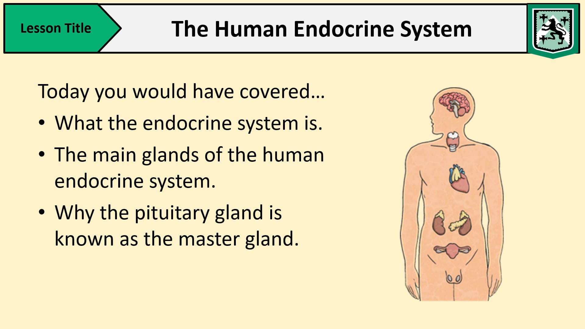 Homeostasis and Response- Lesson 9- The Human Endocrine System on Vimeo