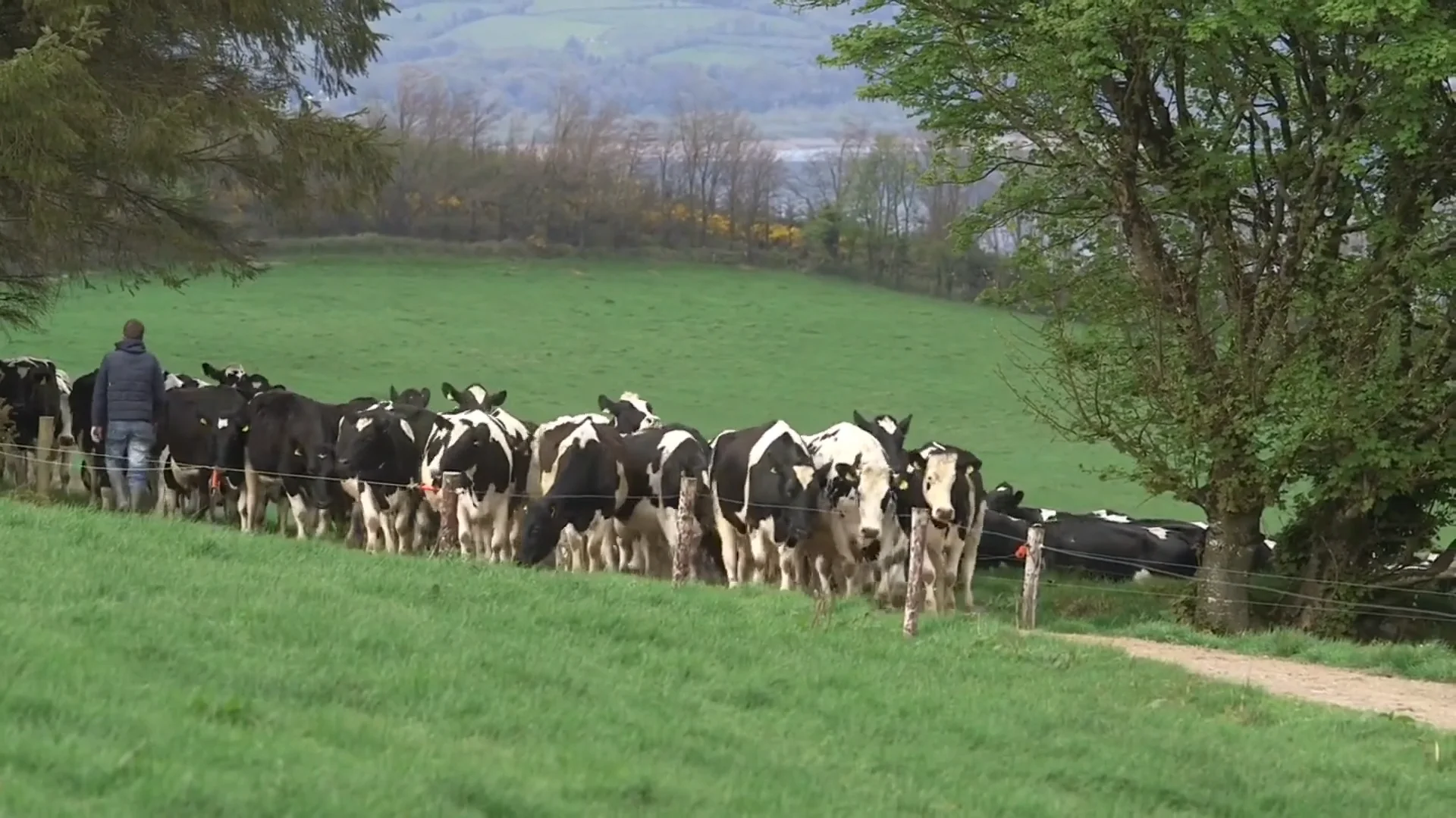 Leptavoid-H pt.1 on Vimeo