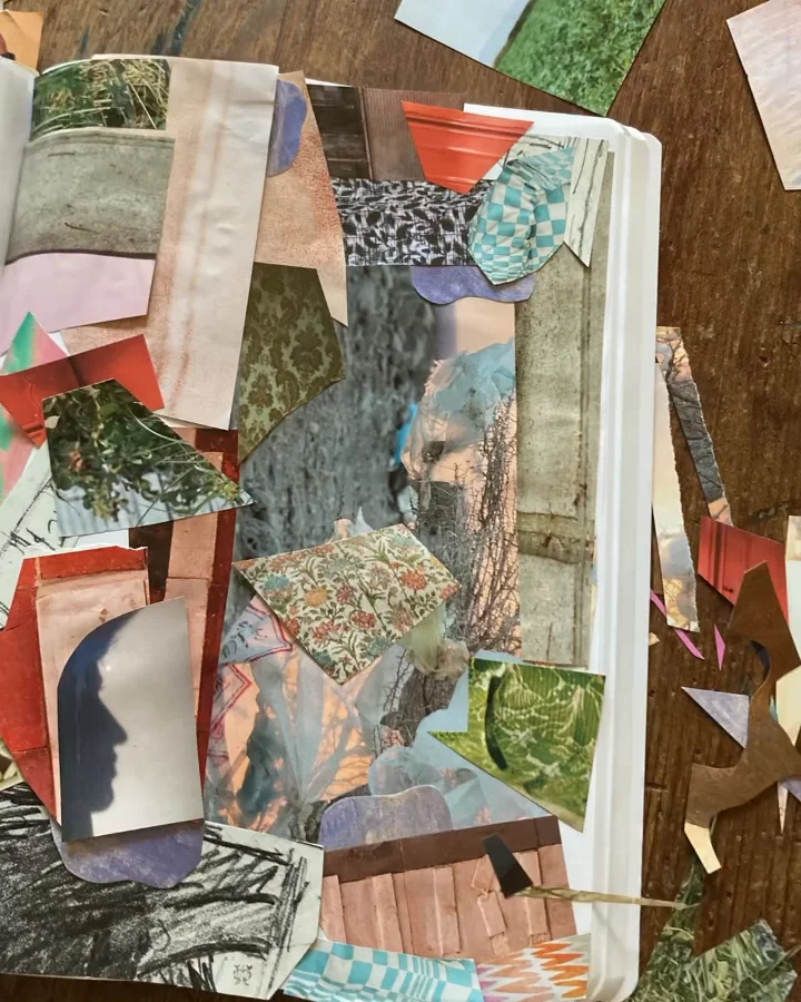 2/11/21 stop motion collage on Vimeo