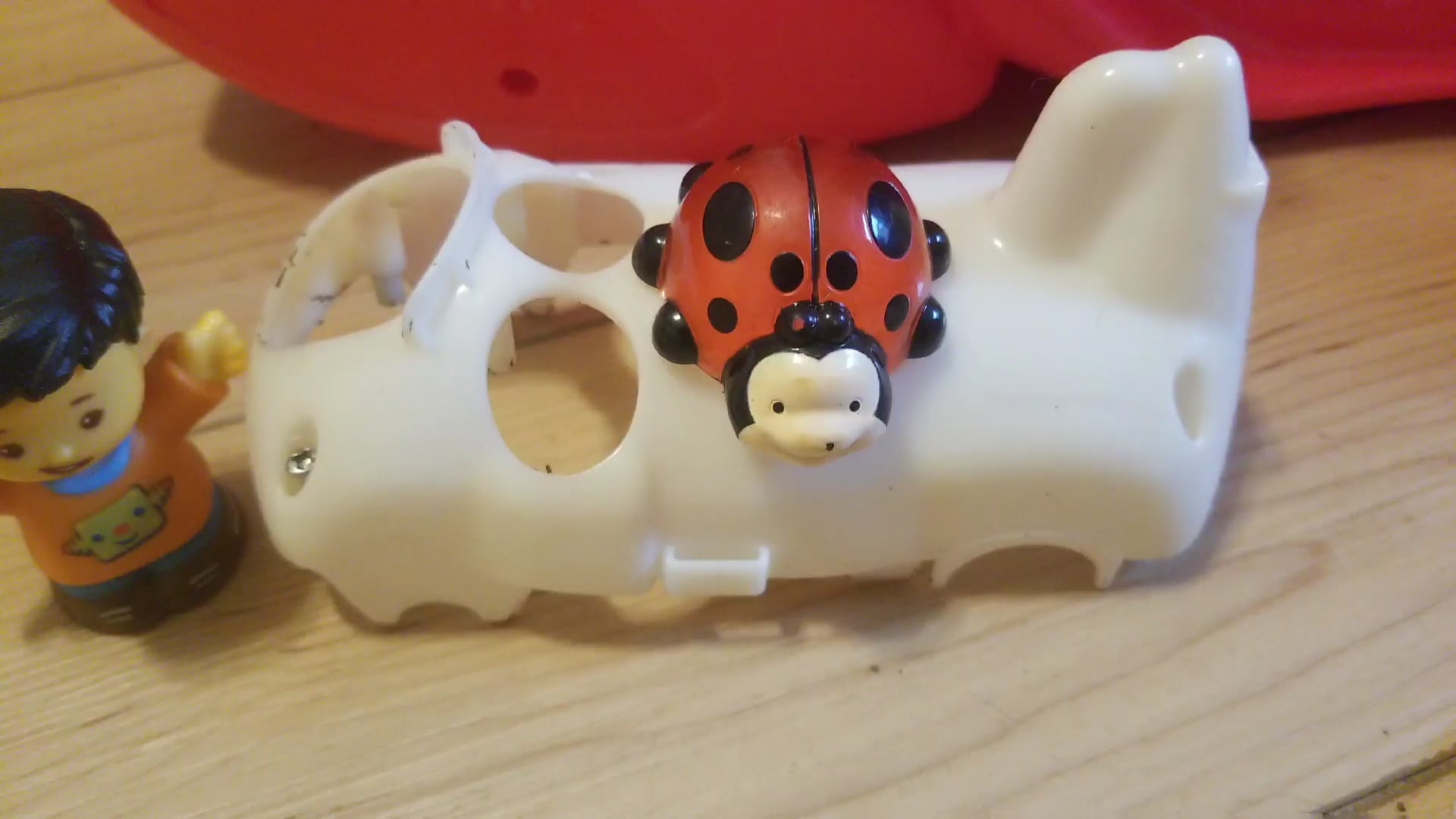 Liddy bug Liddy bird on Vimeo