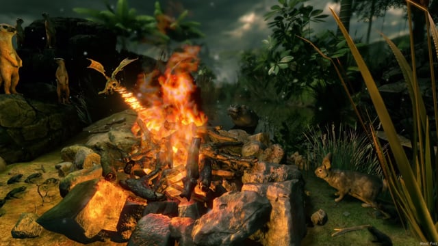 Campfire Animals Bonfire - Free video on Pixabay