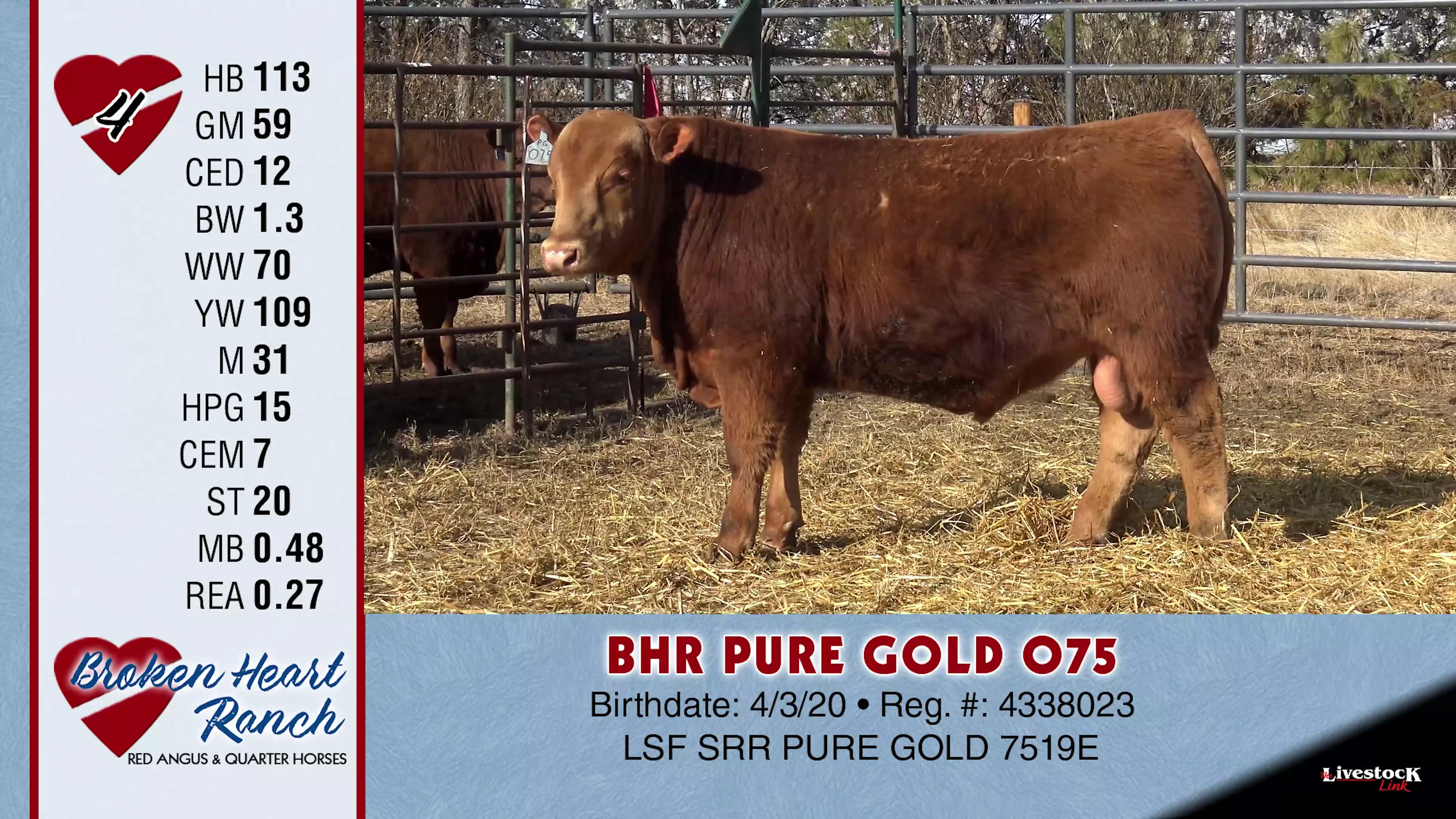 Broken Heart Ranch - Lot 4 on Vimeo