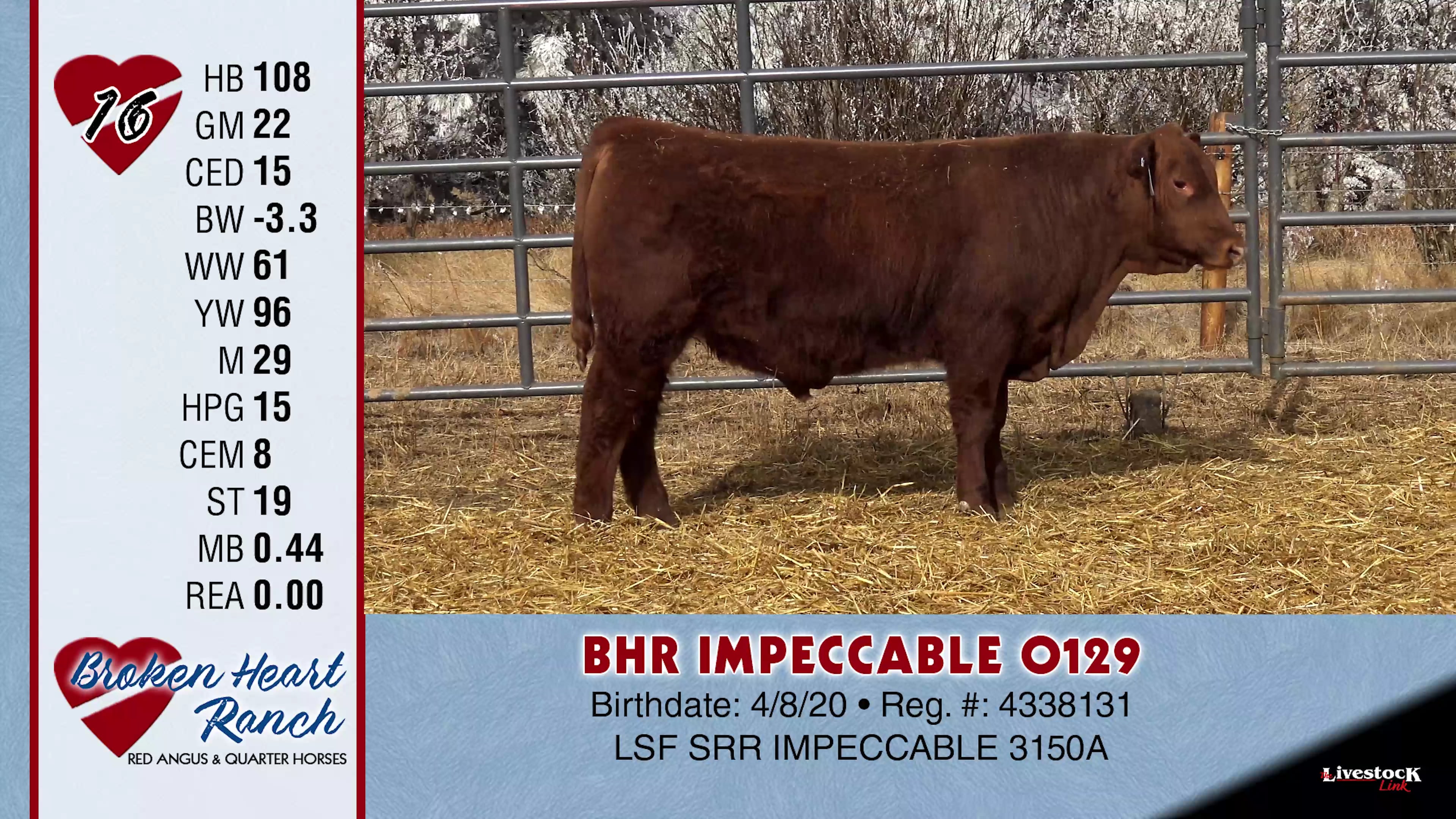 Broken Heart Ranch - Lot 16 on Vimeo