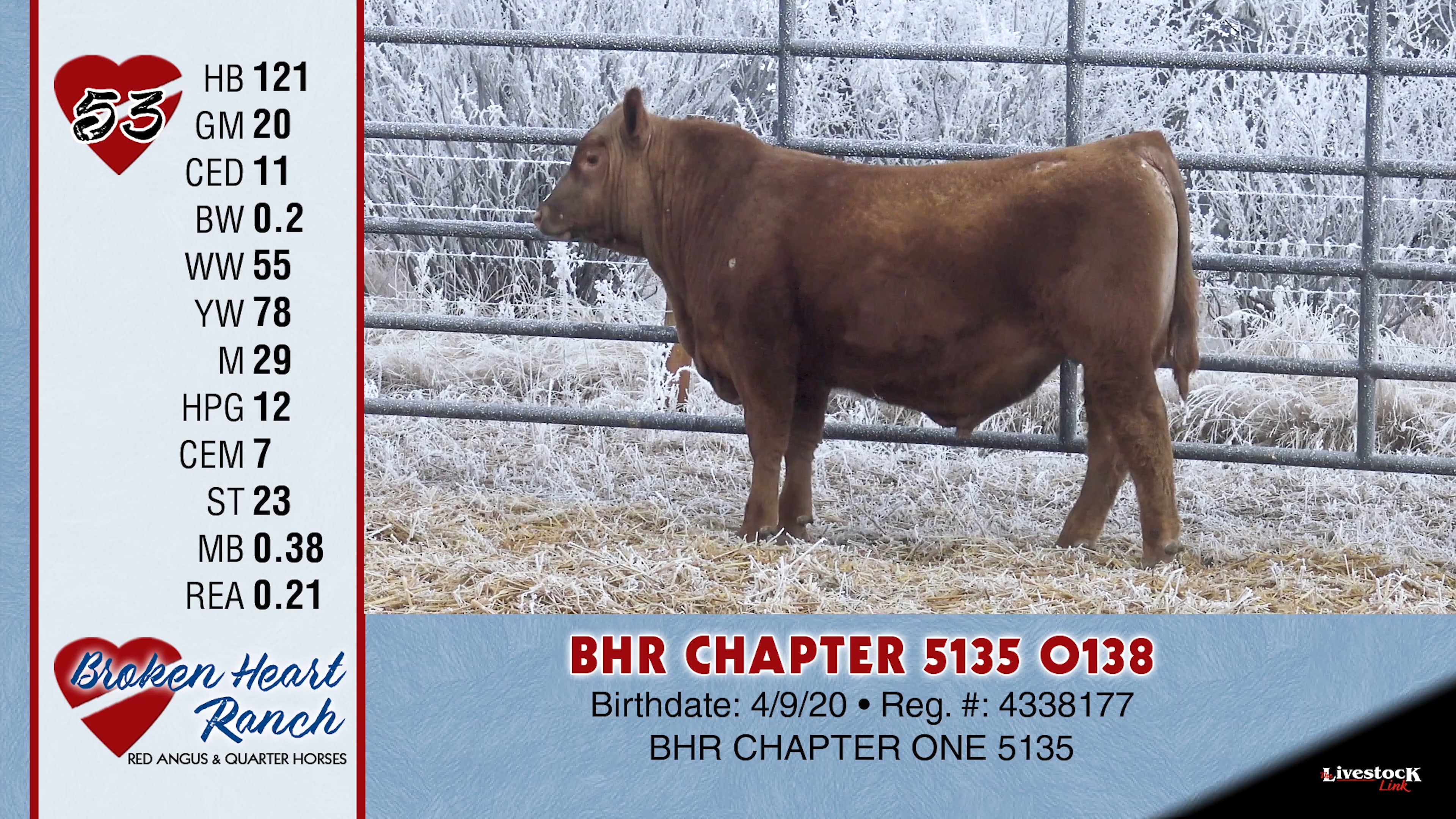 Broken Heart Ranch - Lot 53 on Vimeo