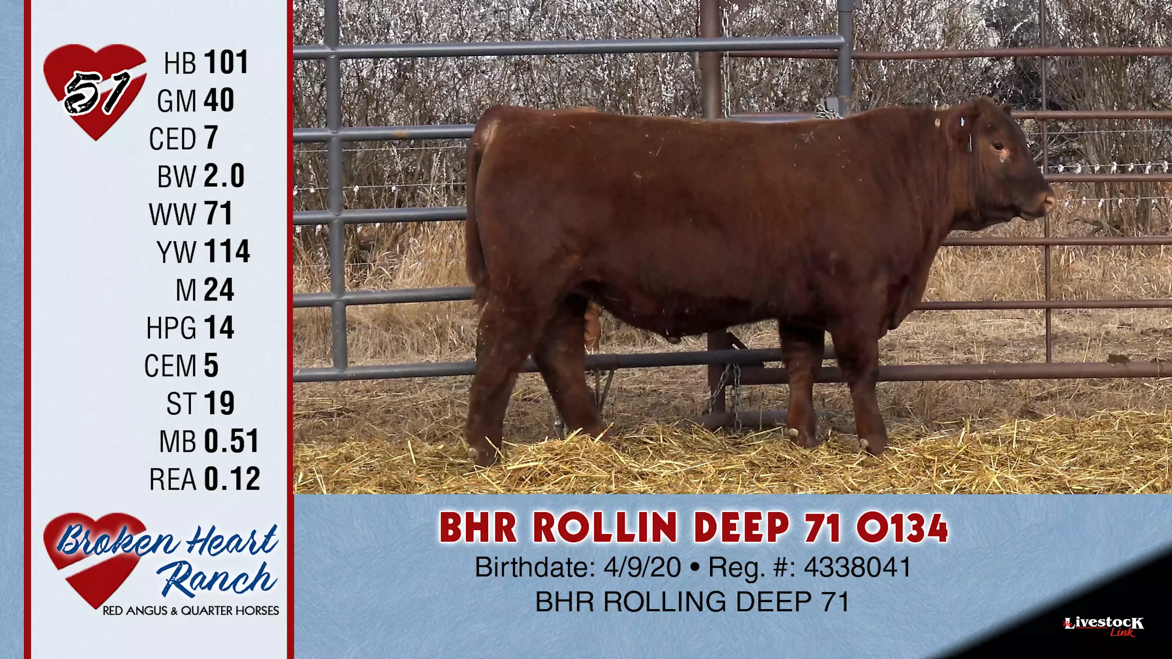 Broken Heart Ranch - Lot 51 on Vimeo