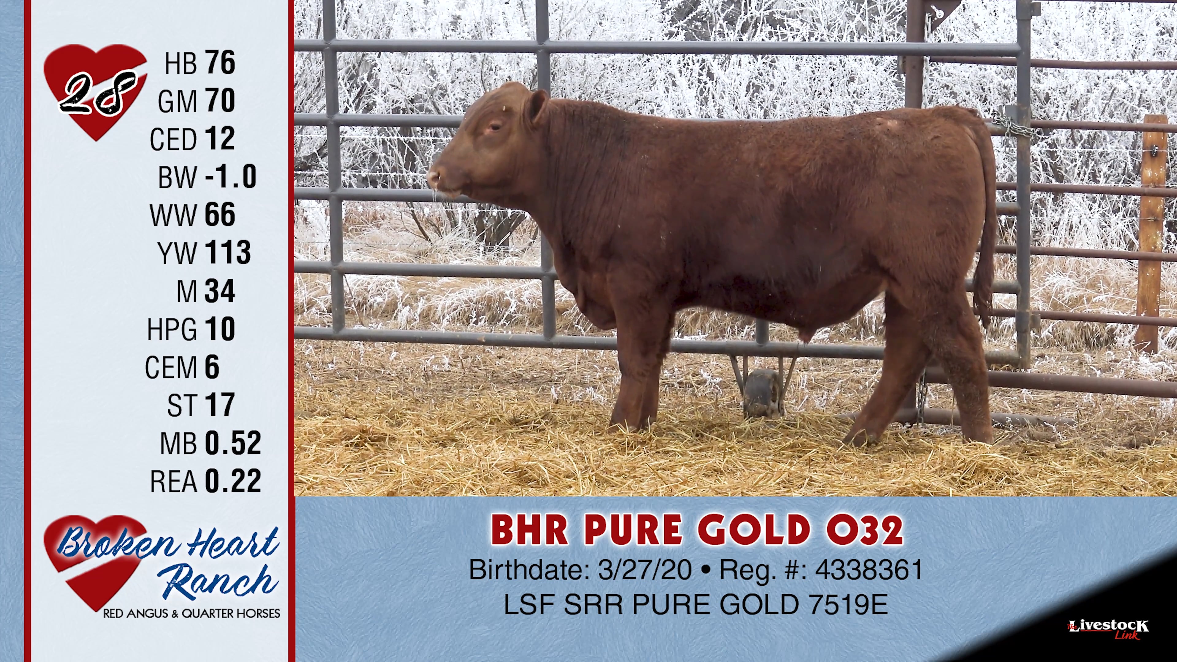 Broken Heart Ranch - Lot 28 on Vimeo