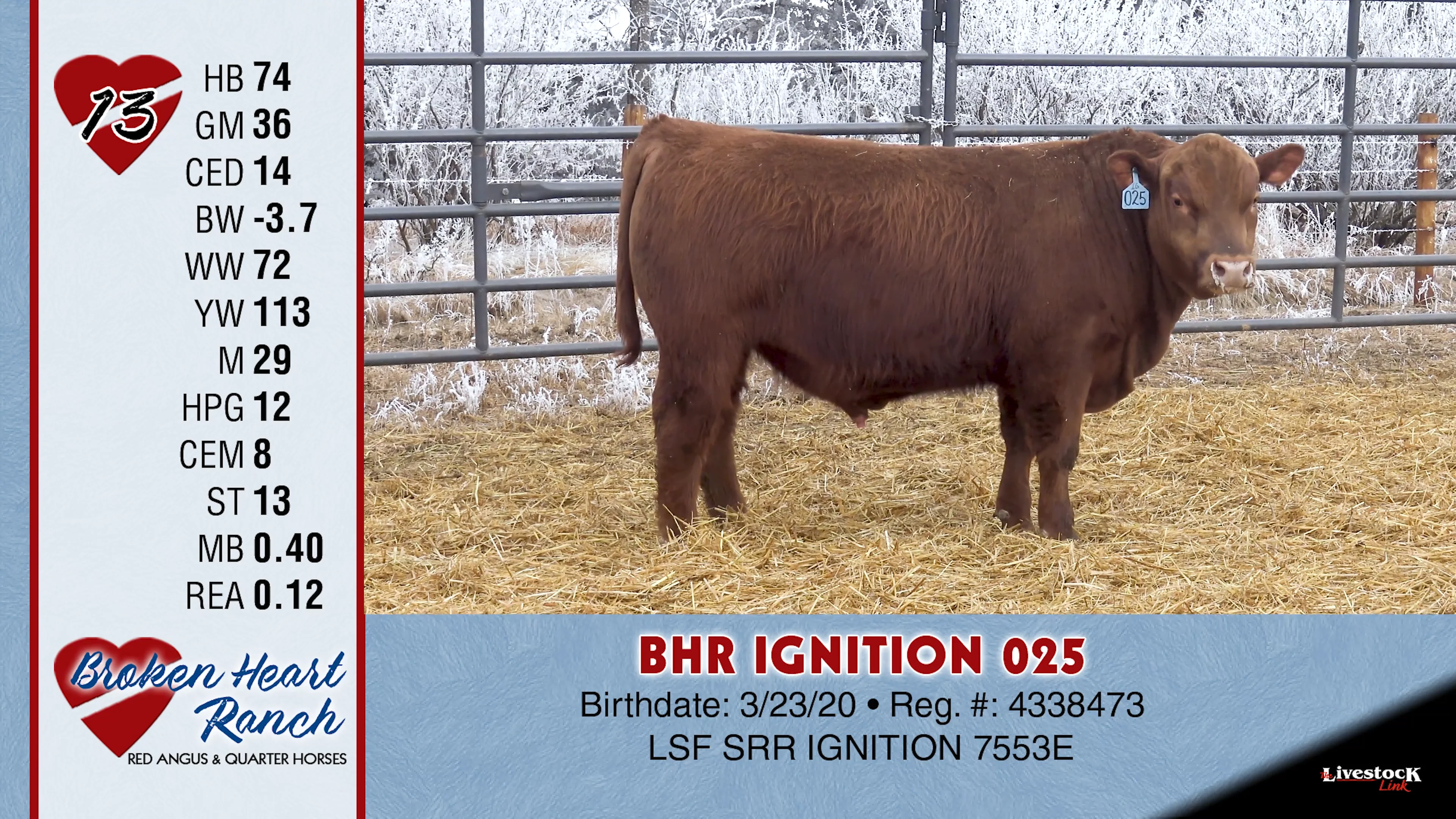 Broken Heart Ranch - Lot 13 on Vimeo