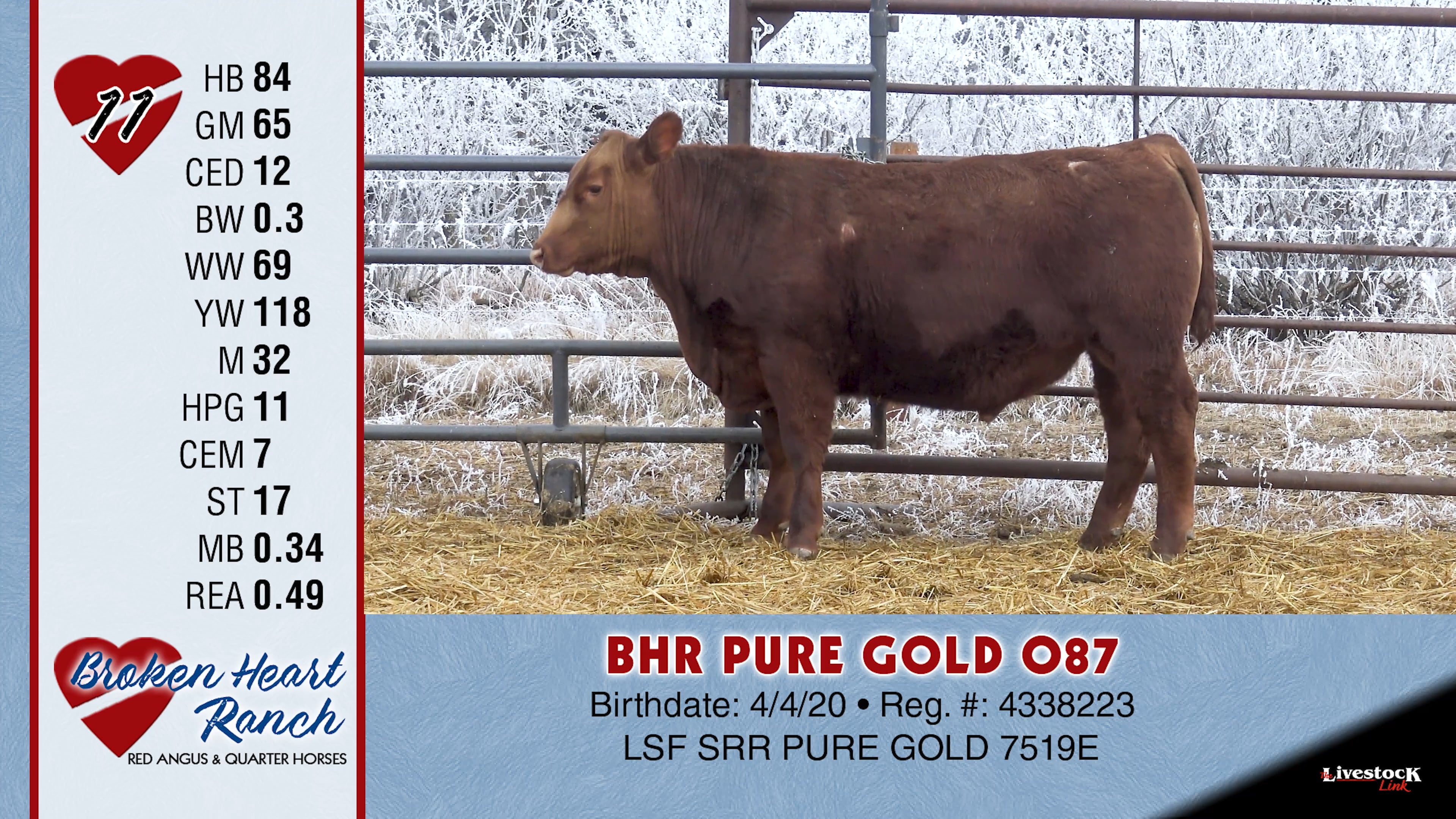 Broken Heart Ranch - Lot 11 on Vimeo