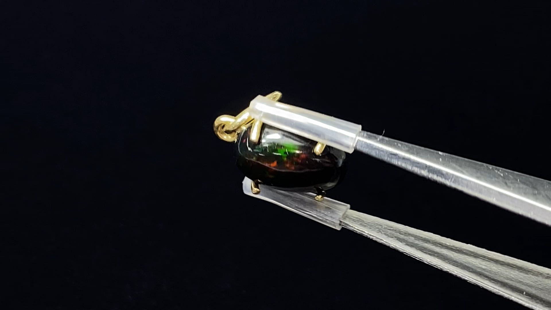 2021-0214-19 on Vimeo