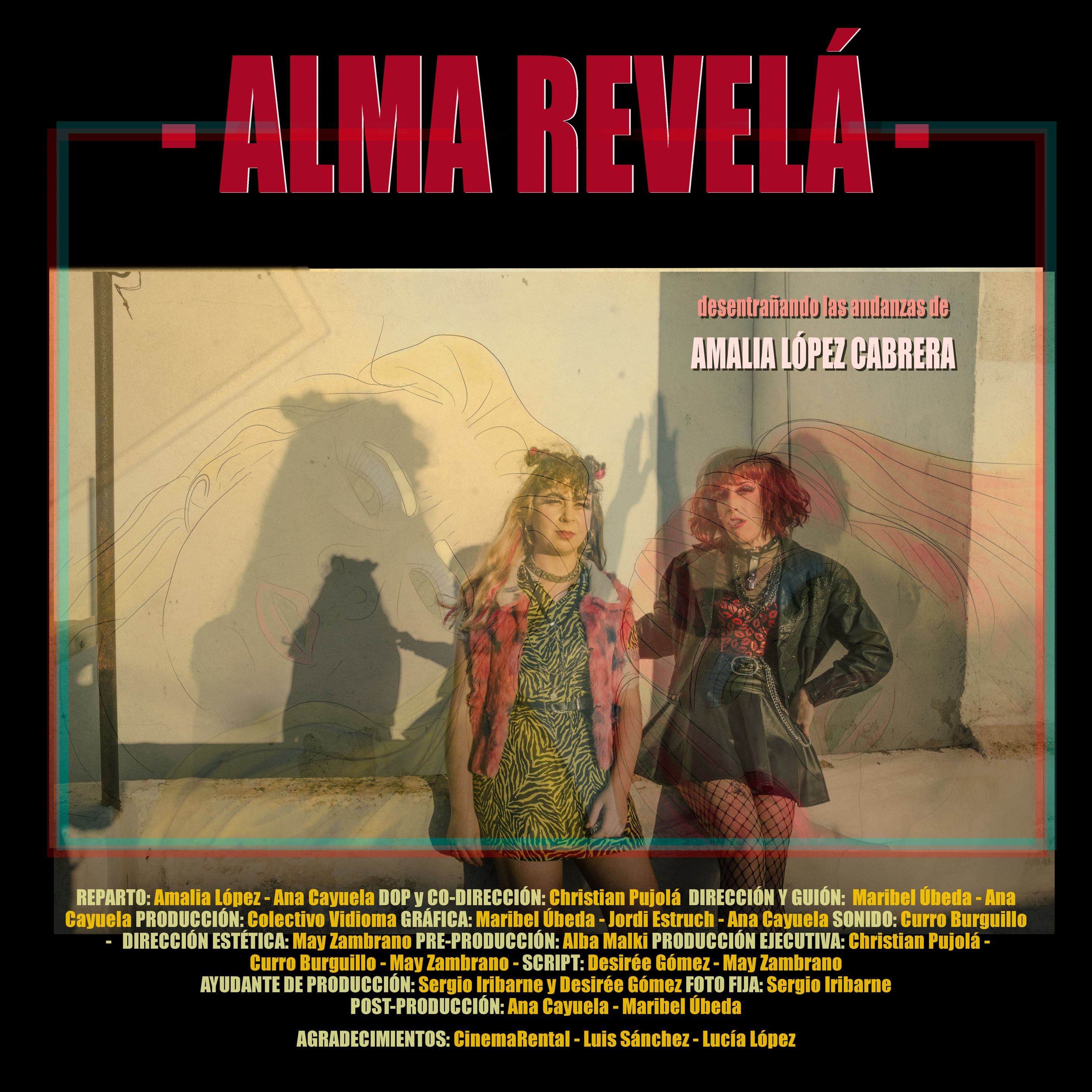 ALMA REVELÁ. Desentrañando la desaparición de Amalia López de López ...
