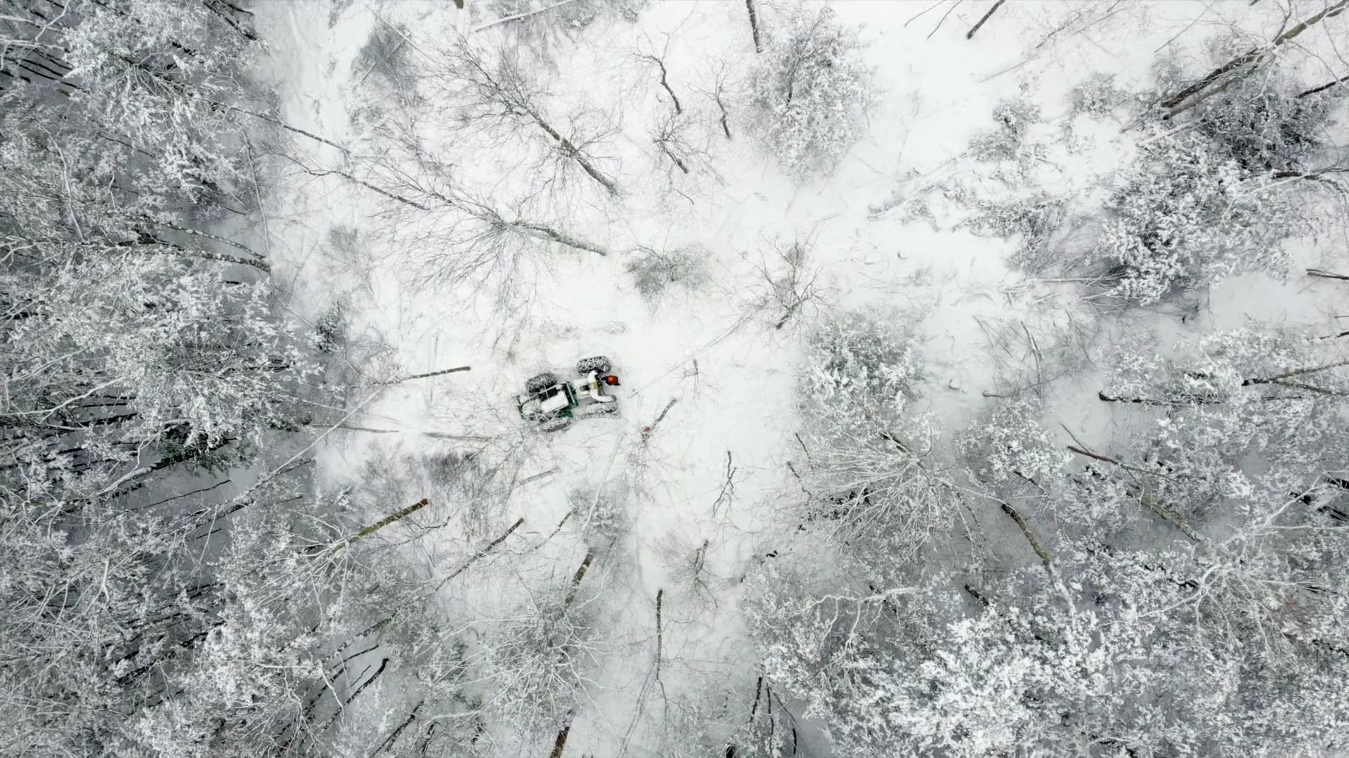Winter Logging on Vimeo