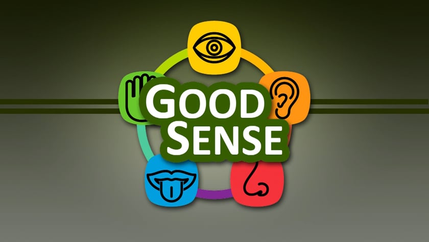 Good Sense - Jeffers Foundation