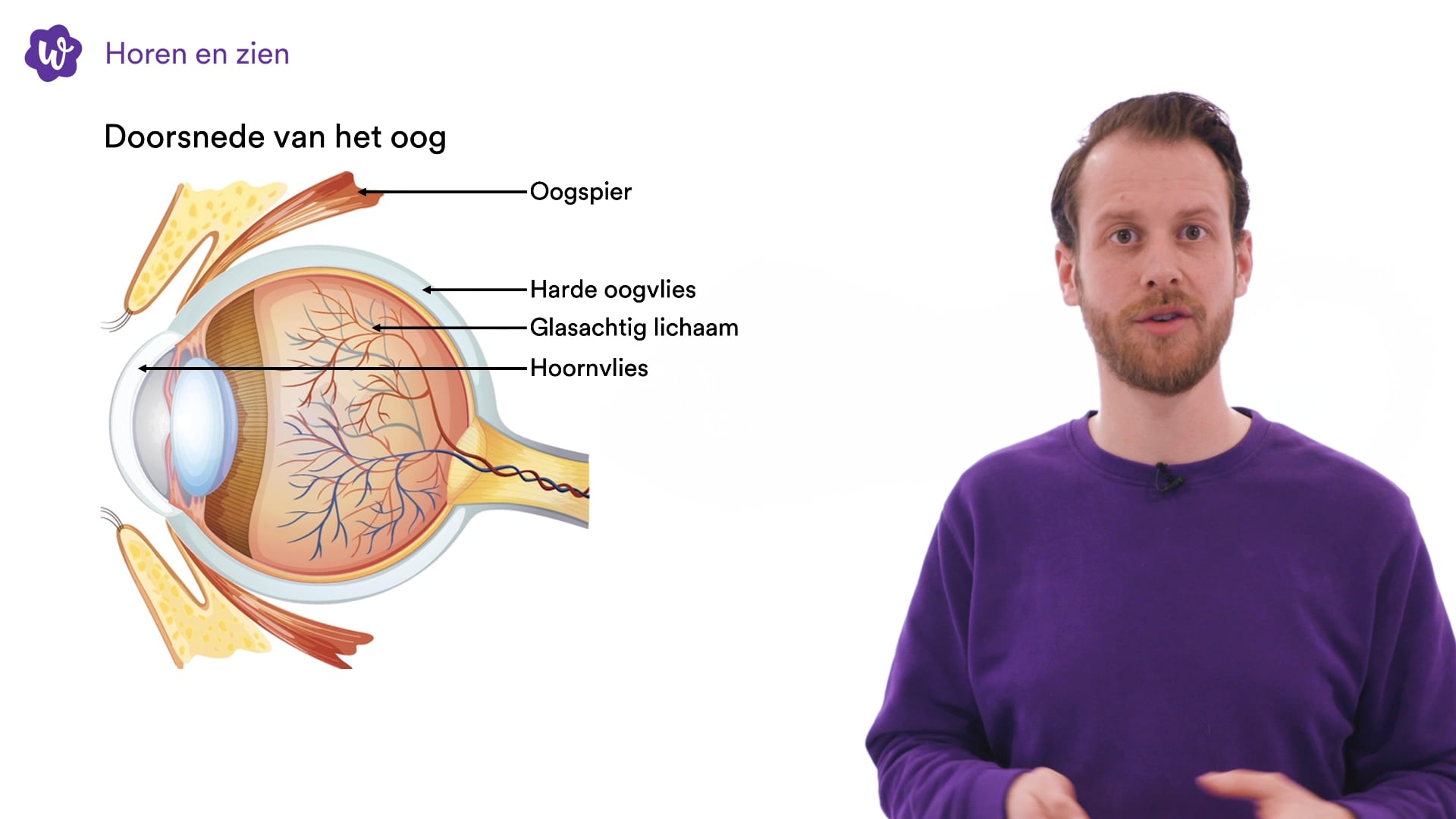 Horen en zien oefenen | StudyGo