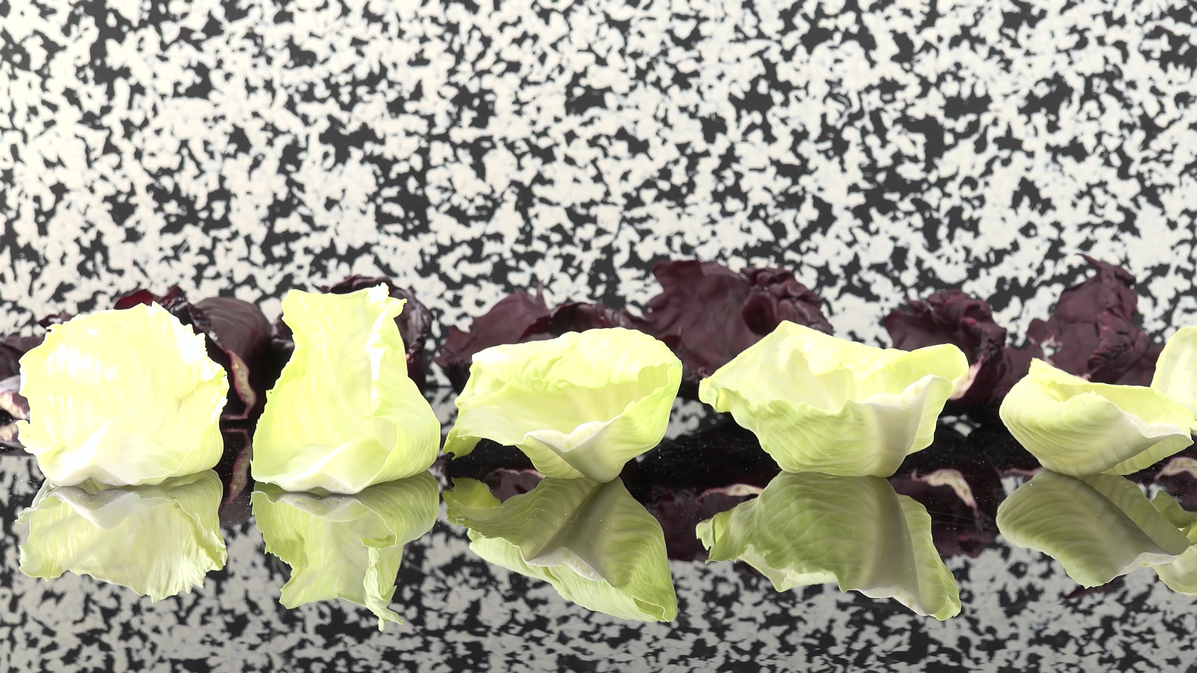 Cardinal Mint 2020 4K 10Mbps on Vimeo