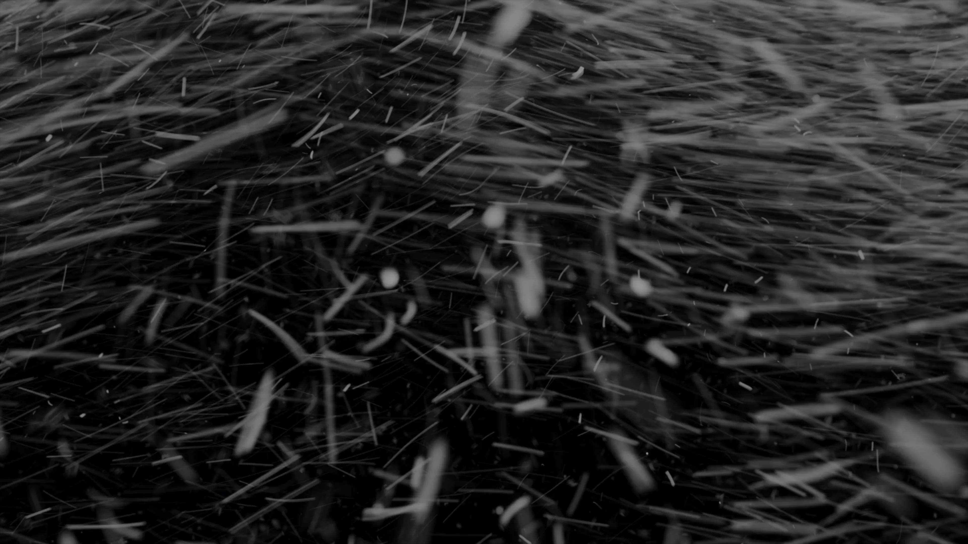 neigev6-apple-prores-422-hq-on-vimeo