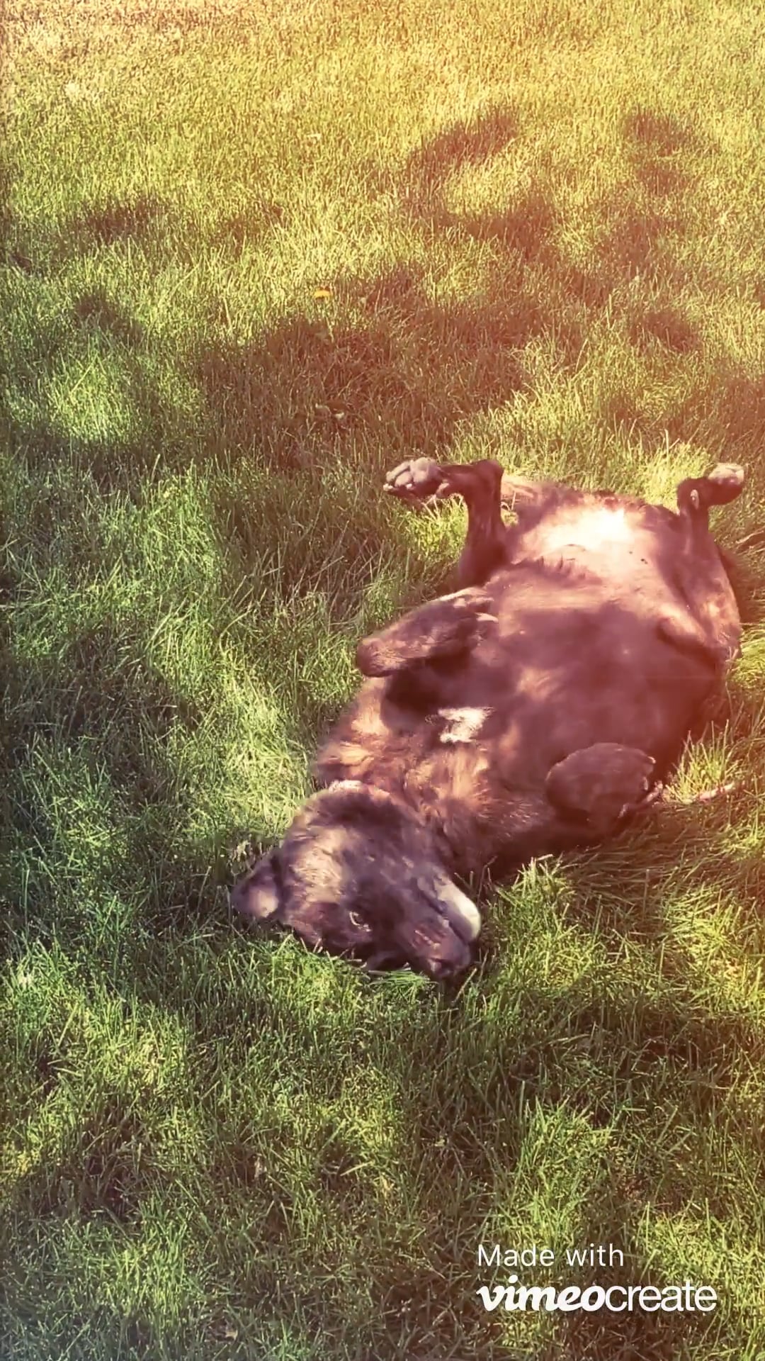 princess on Vimeo