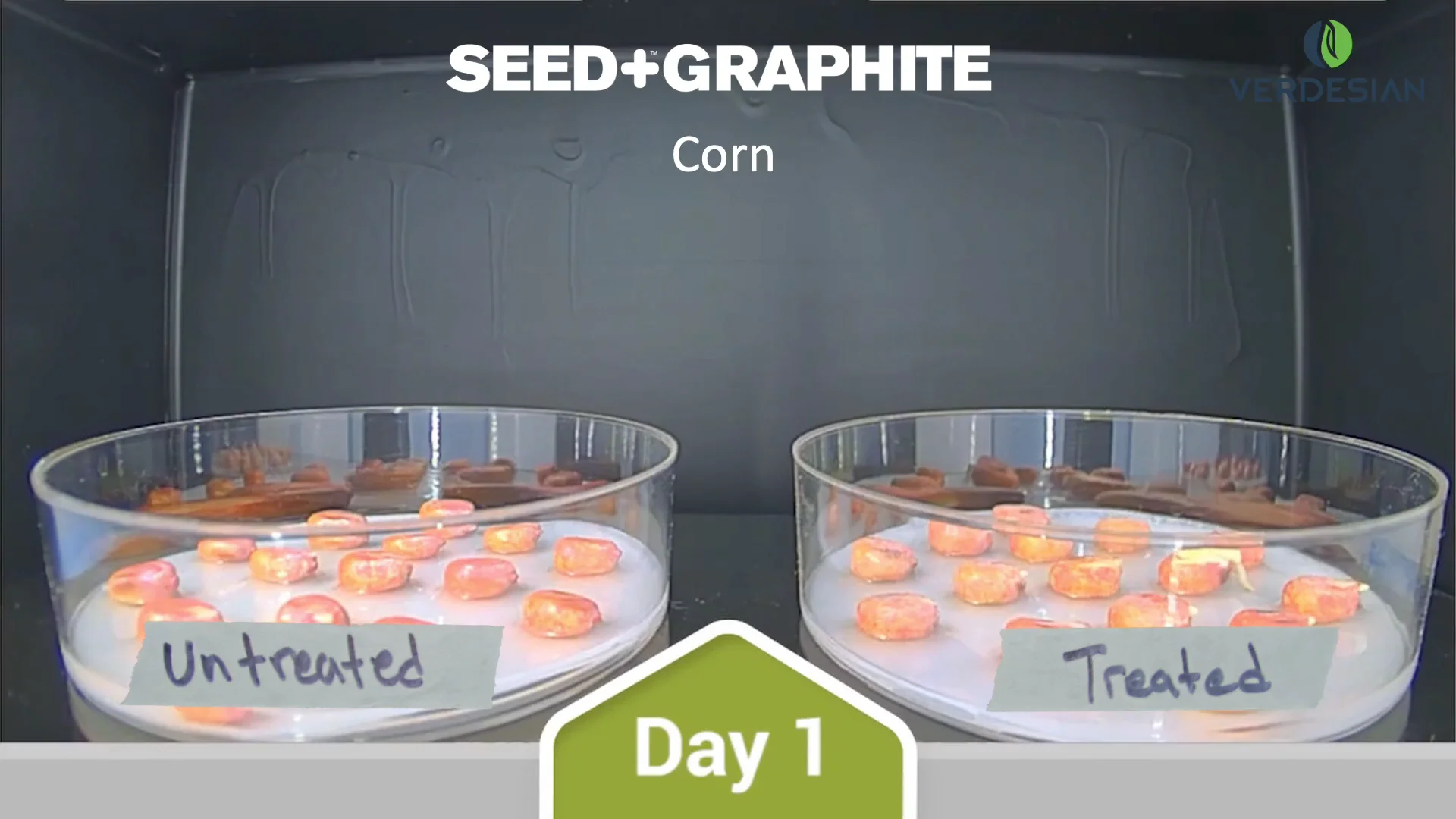 Corn Time Lapse on Vimeo