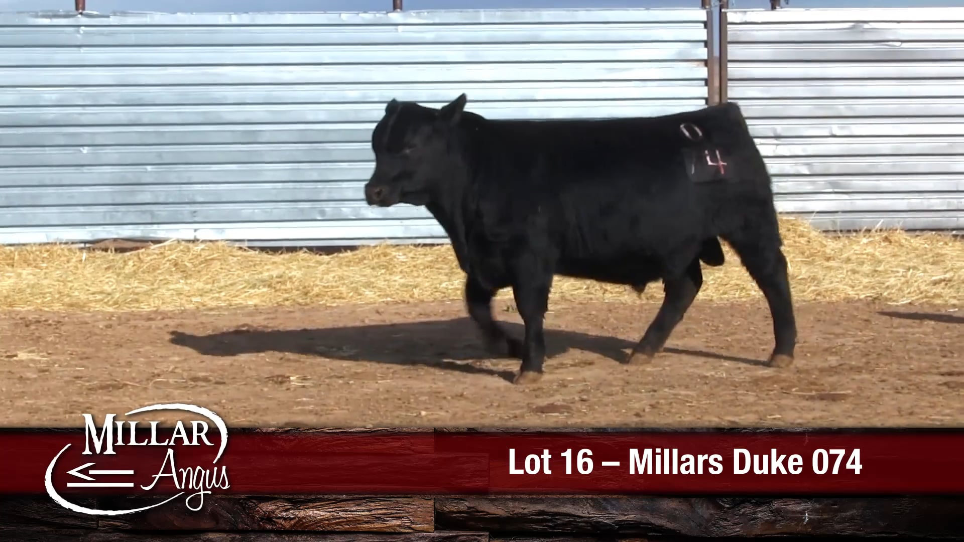 Millar Angus - Lot 16 on Vimeo